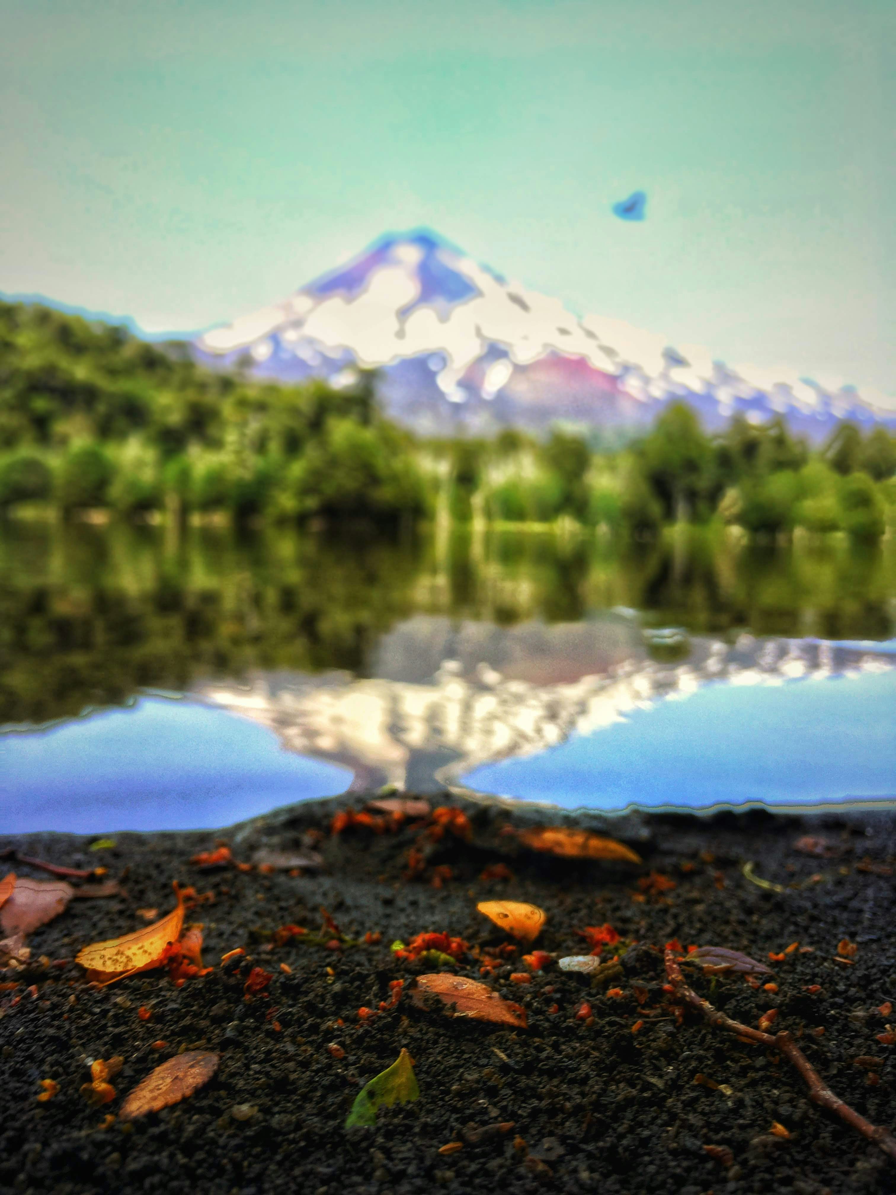 Snowcap in a Glass Lake: Morning Stillness and Leaf-Strewn Shore