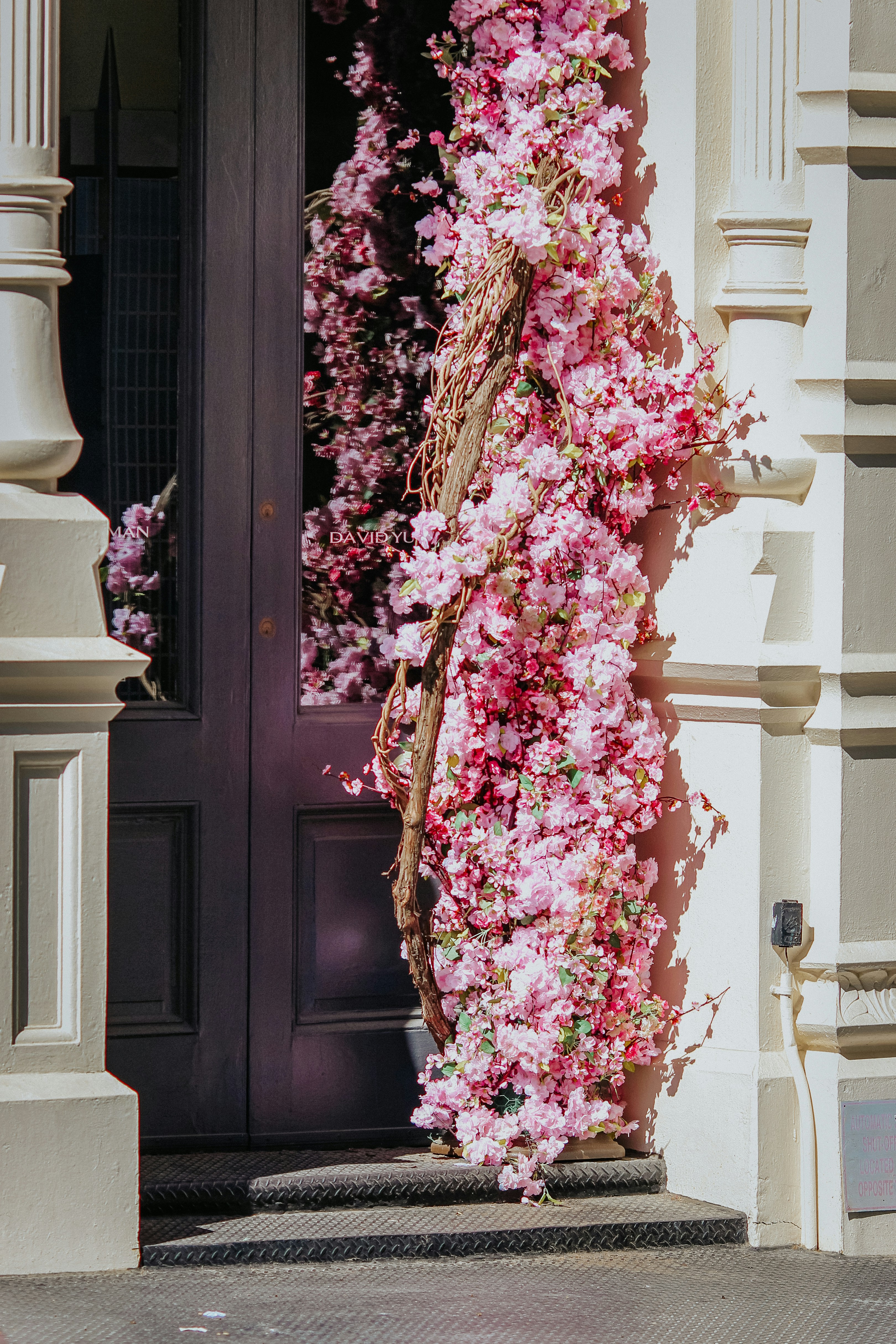 Vibrant pink blossoms cascade around a doorway, creating a striking contrast against the dark wooden door. The floral arrangement enhances the entrance's charm.