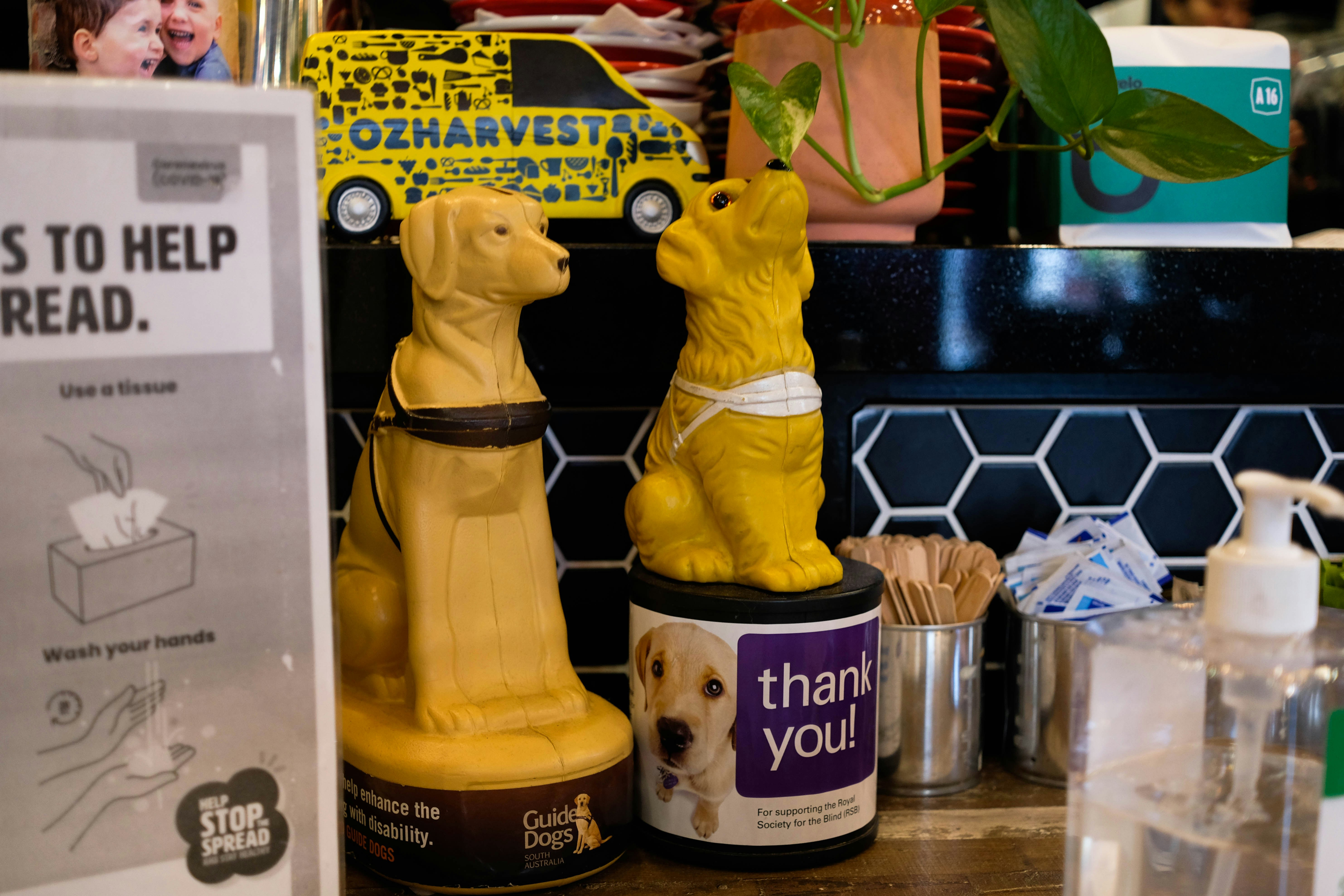 Two dog figurines share a quiet moment at a cozy counter