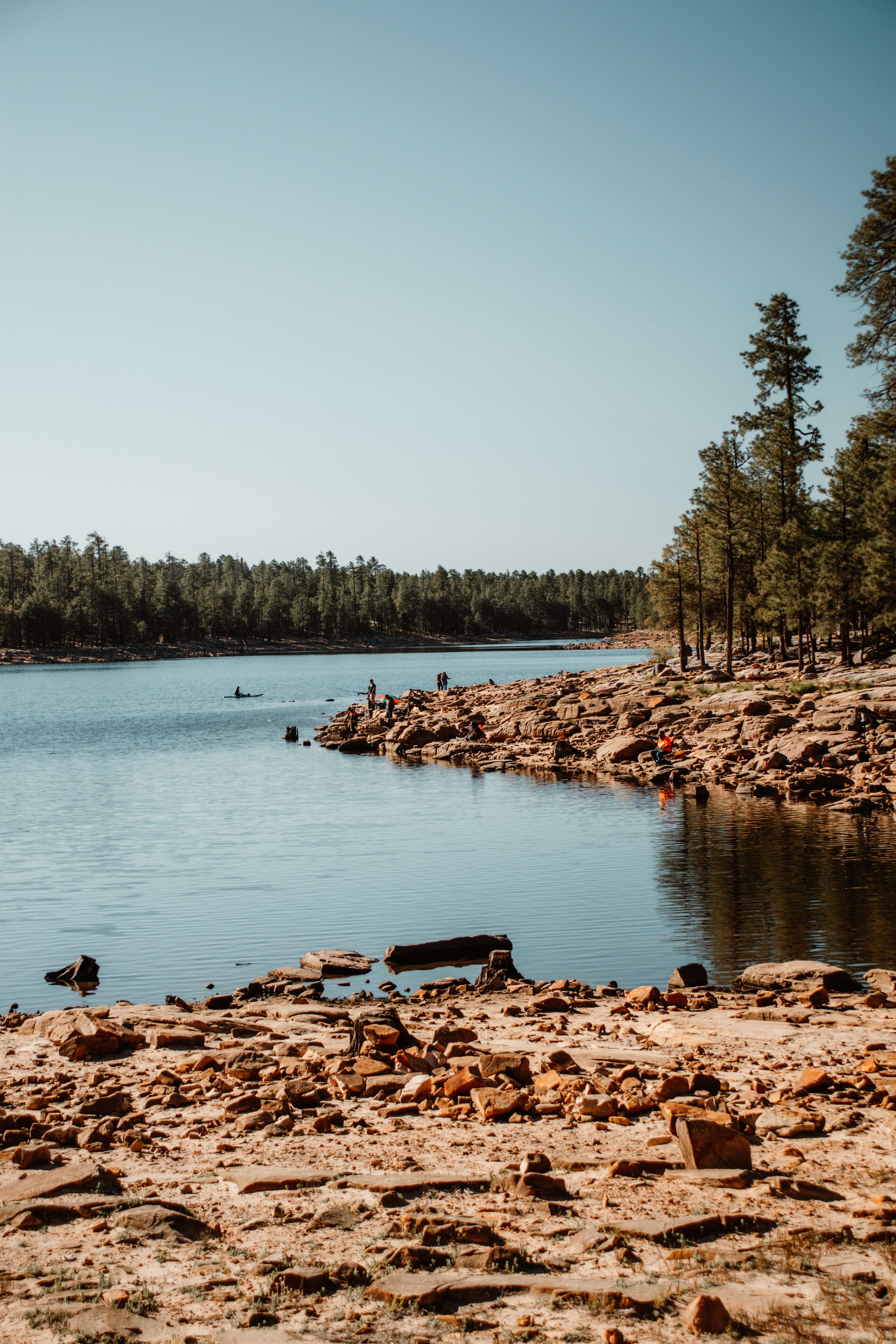 Home - Shields Township IL