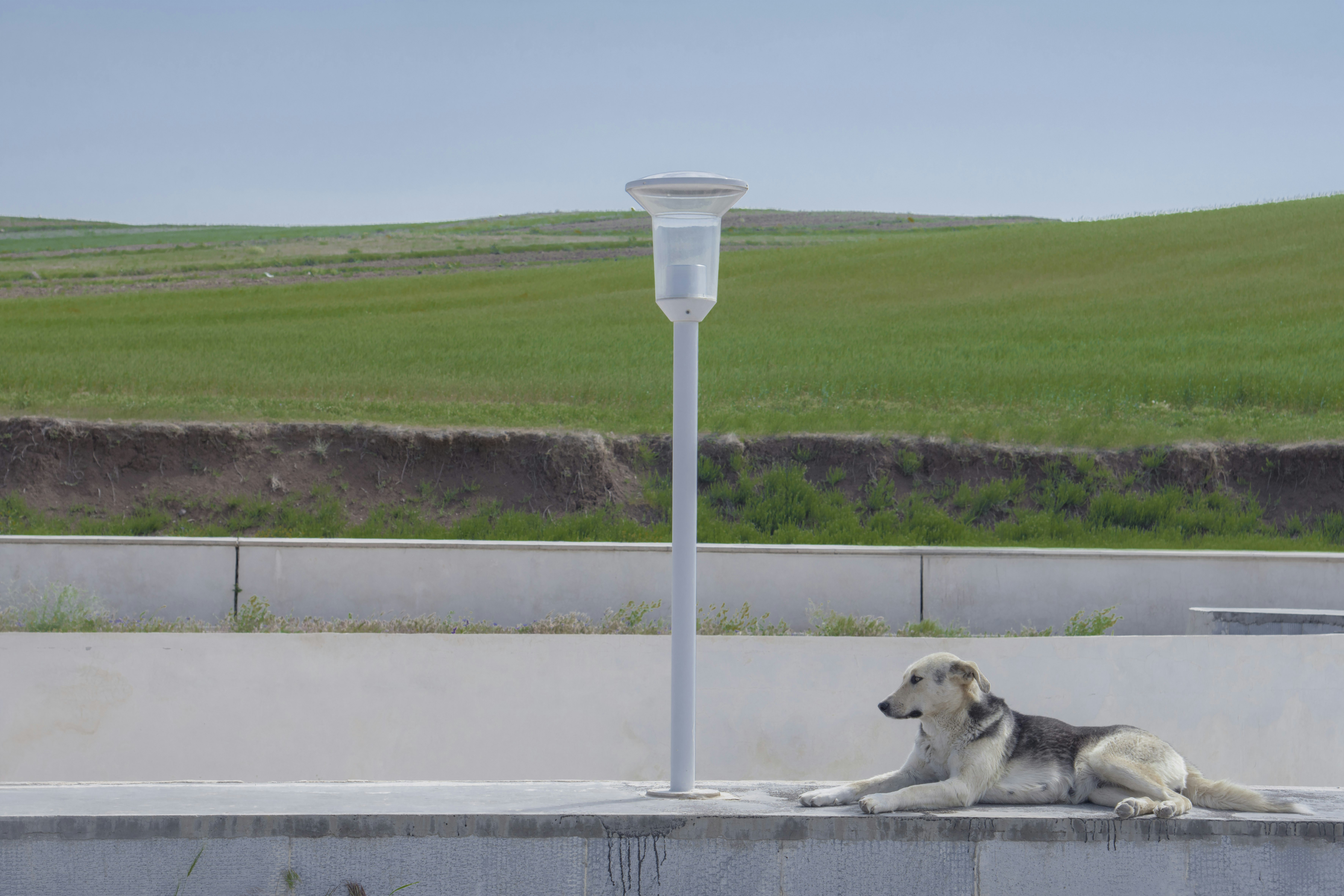 Kouhin, Qazvin, Iran