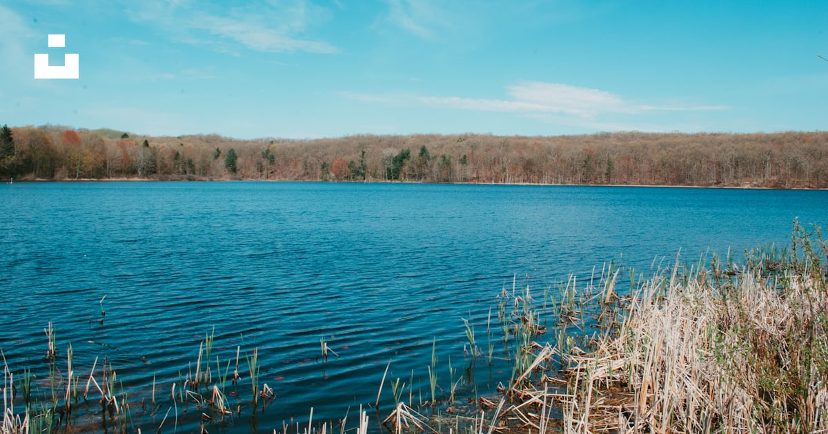 Brown Grass Near Body Of Water During Daytime Photo Free Usa Image On