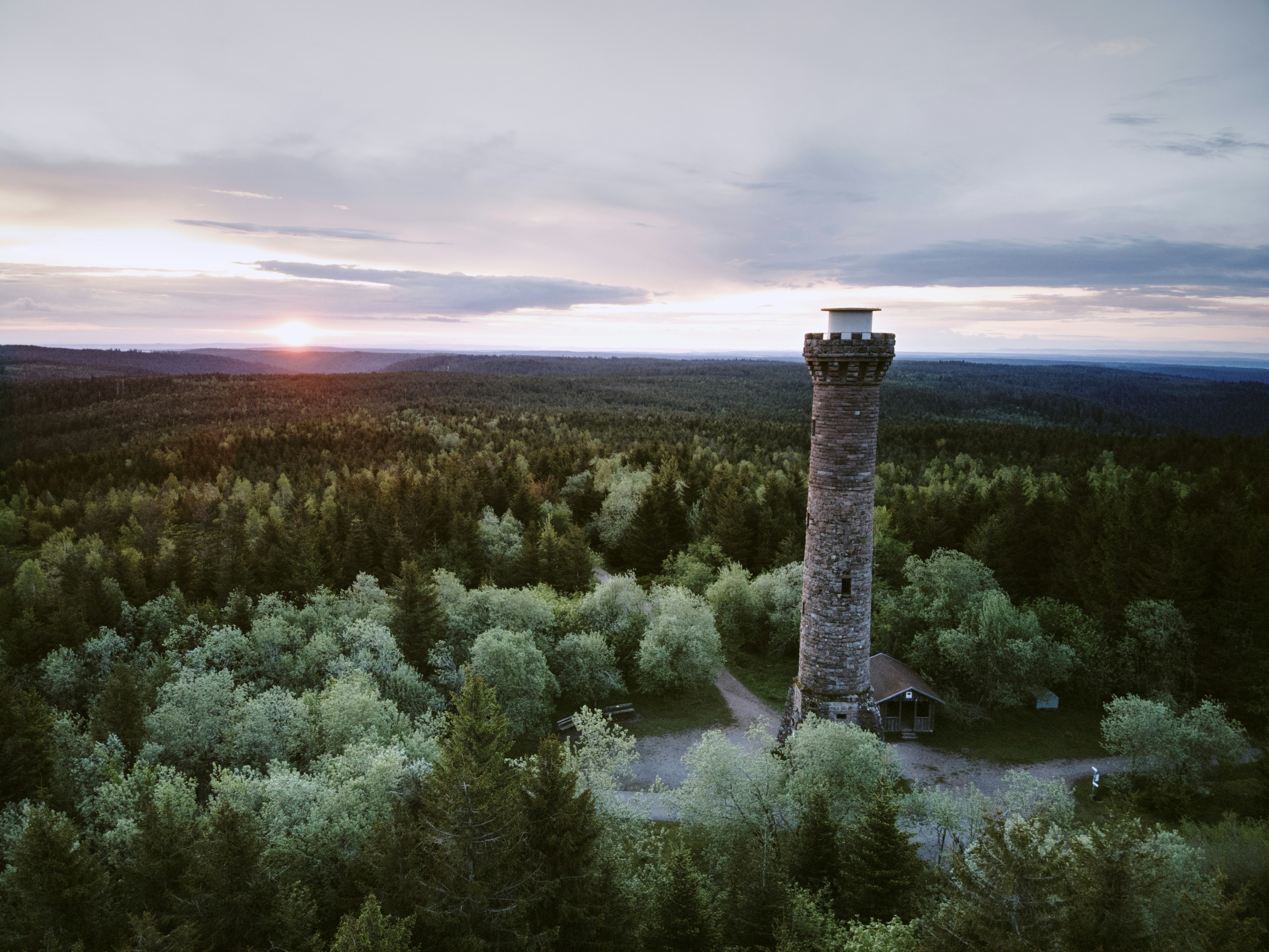 A historic stone tower rises amidst lush greenery, capturing the tranquil essence of a forest at sunset.