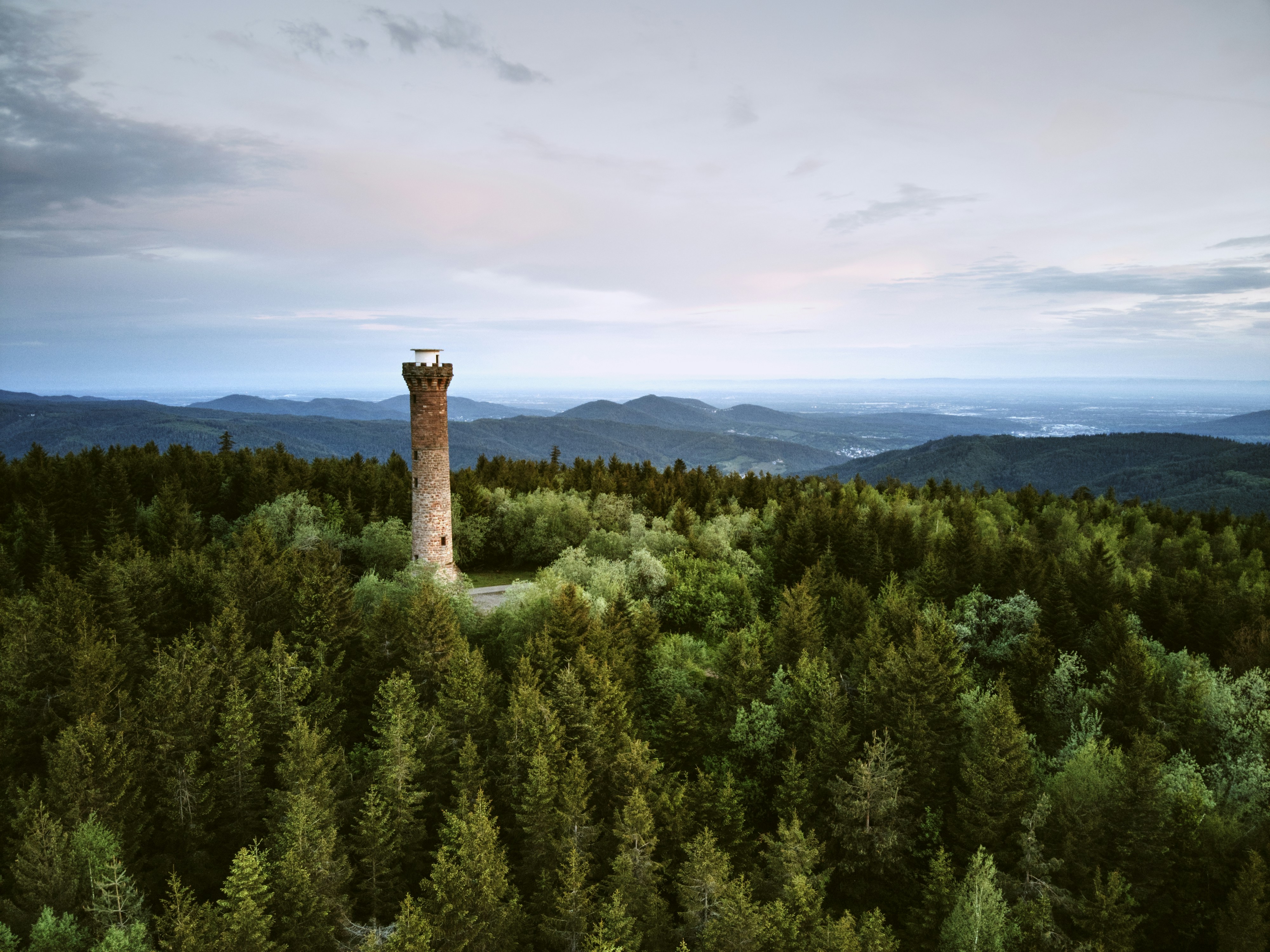 Tower in the Green Sea: A Lone Structure Crowned by Conifers
