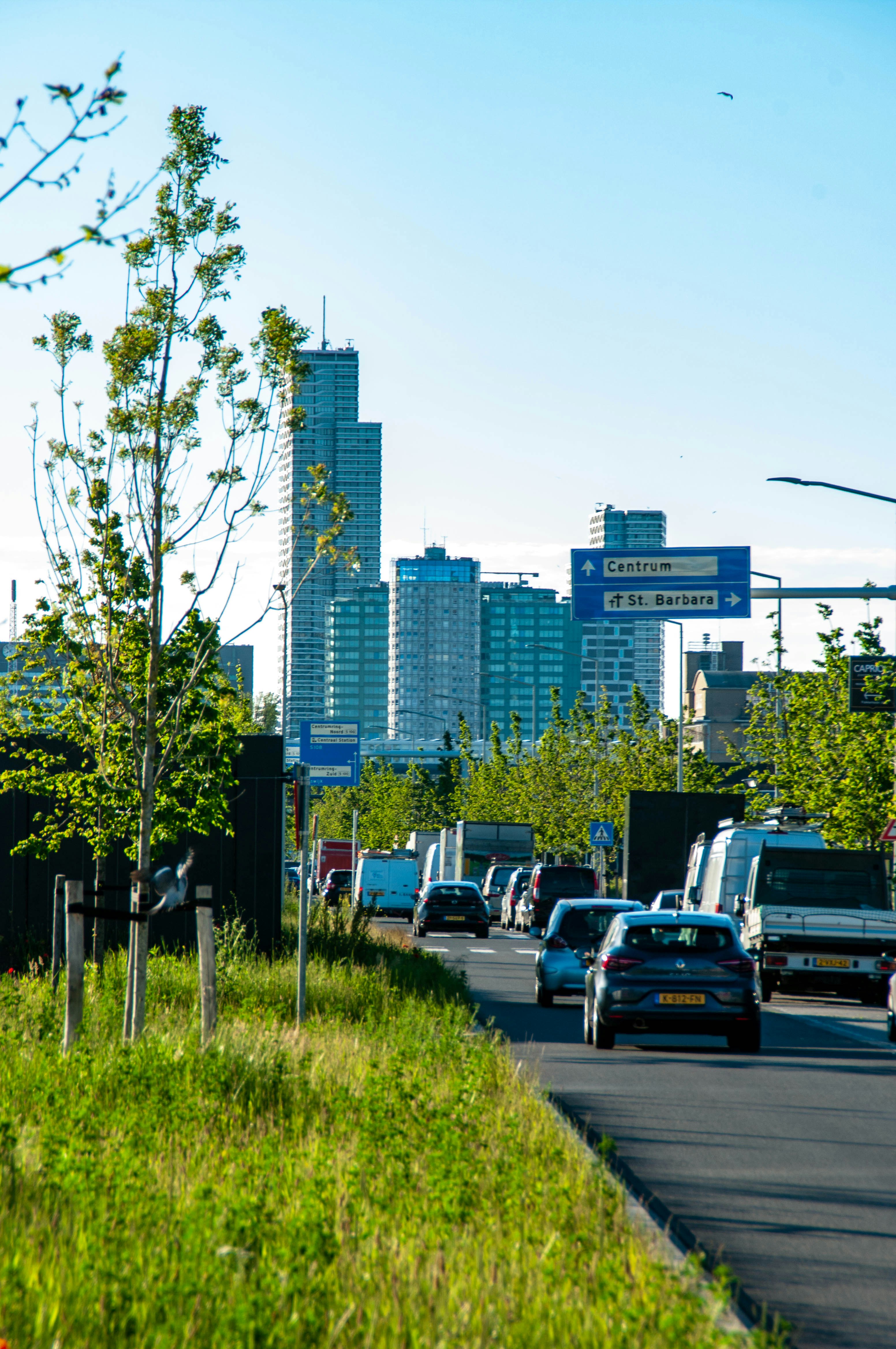 Citybound Highway: Cars in Line Toward a Modern Skyline