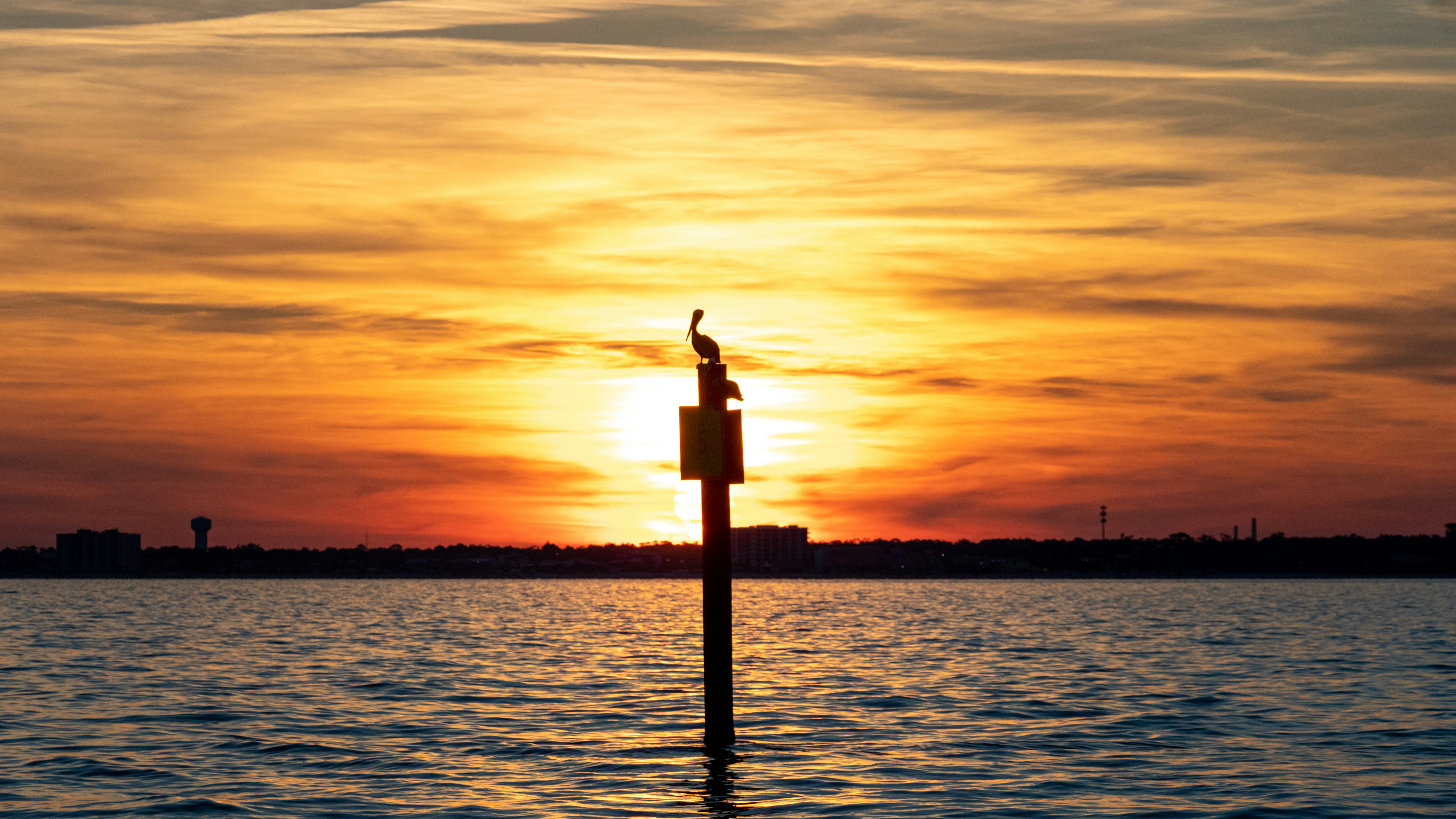 Sunset Sentinel: A Lone Bird Perched on a Post Against a Fiery Horizon