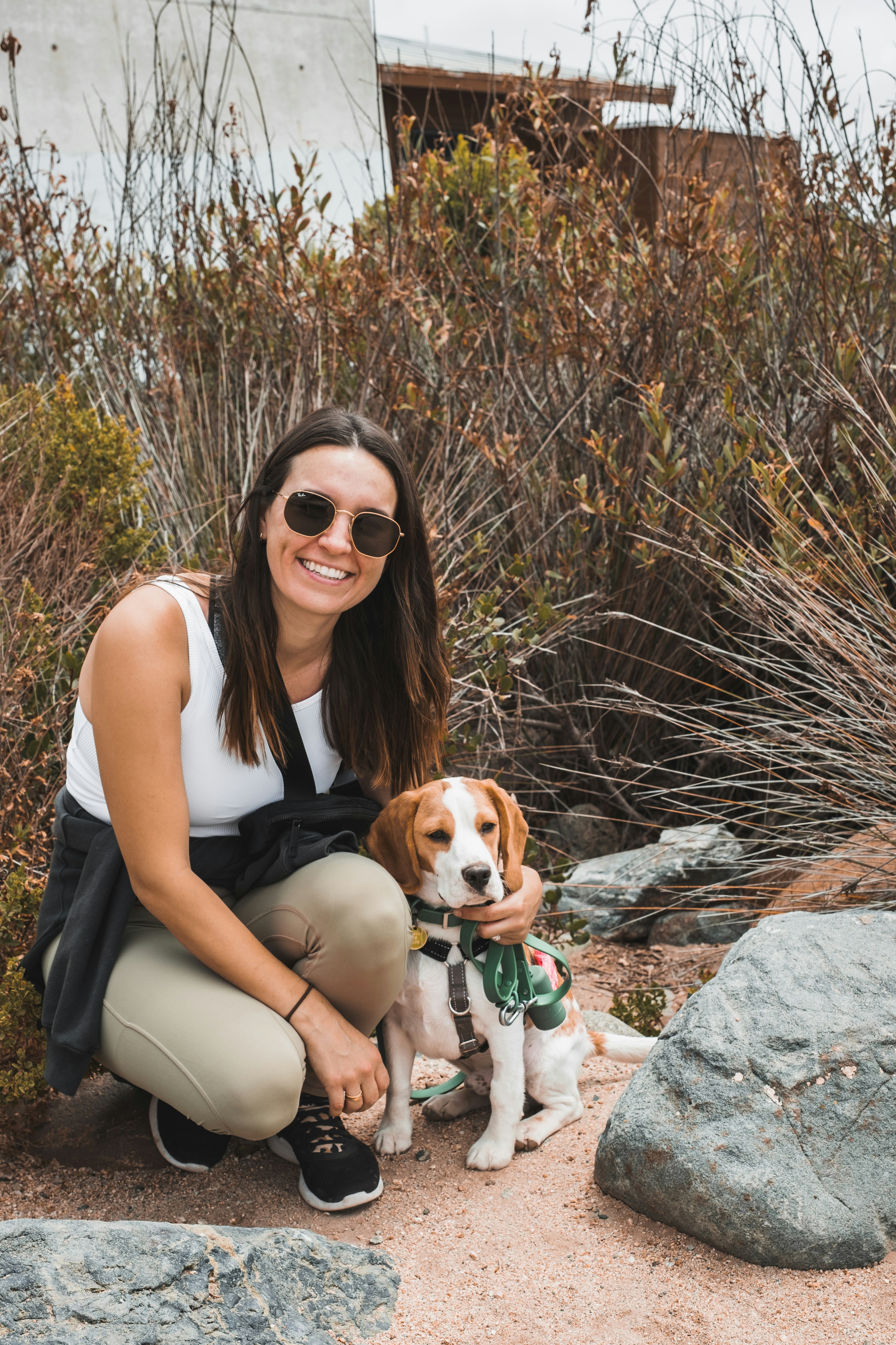 Smiling companion: a woman and her beagle amid desert shrubs