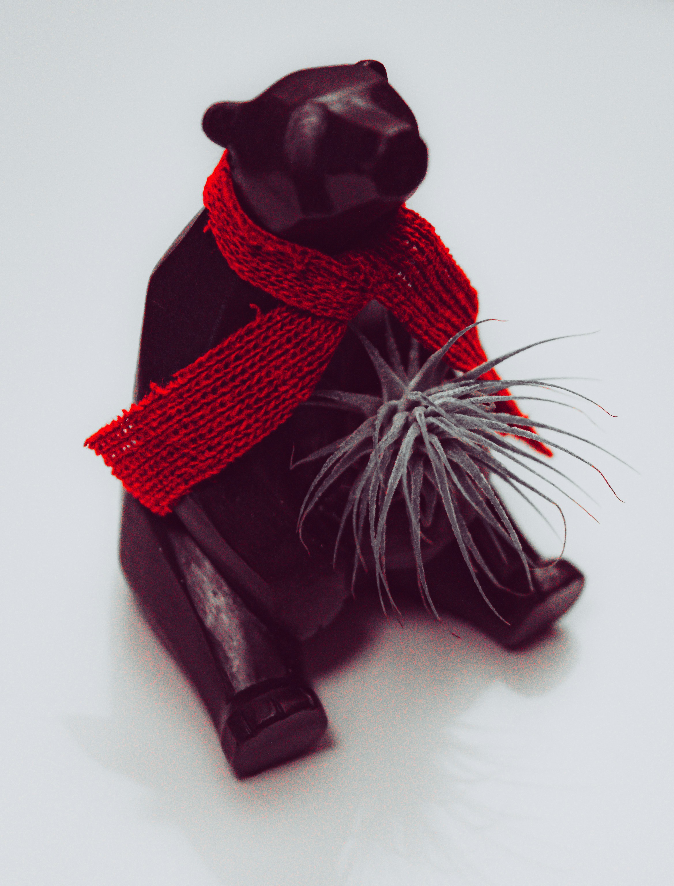 Crimson Scarf, Noir Plush: A Quiet Still-Life