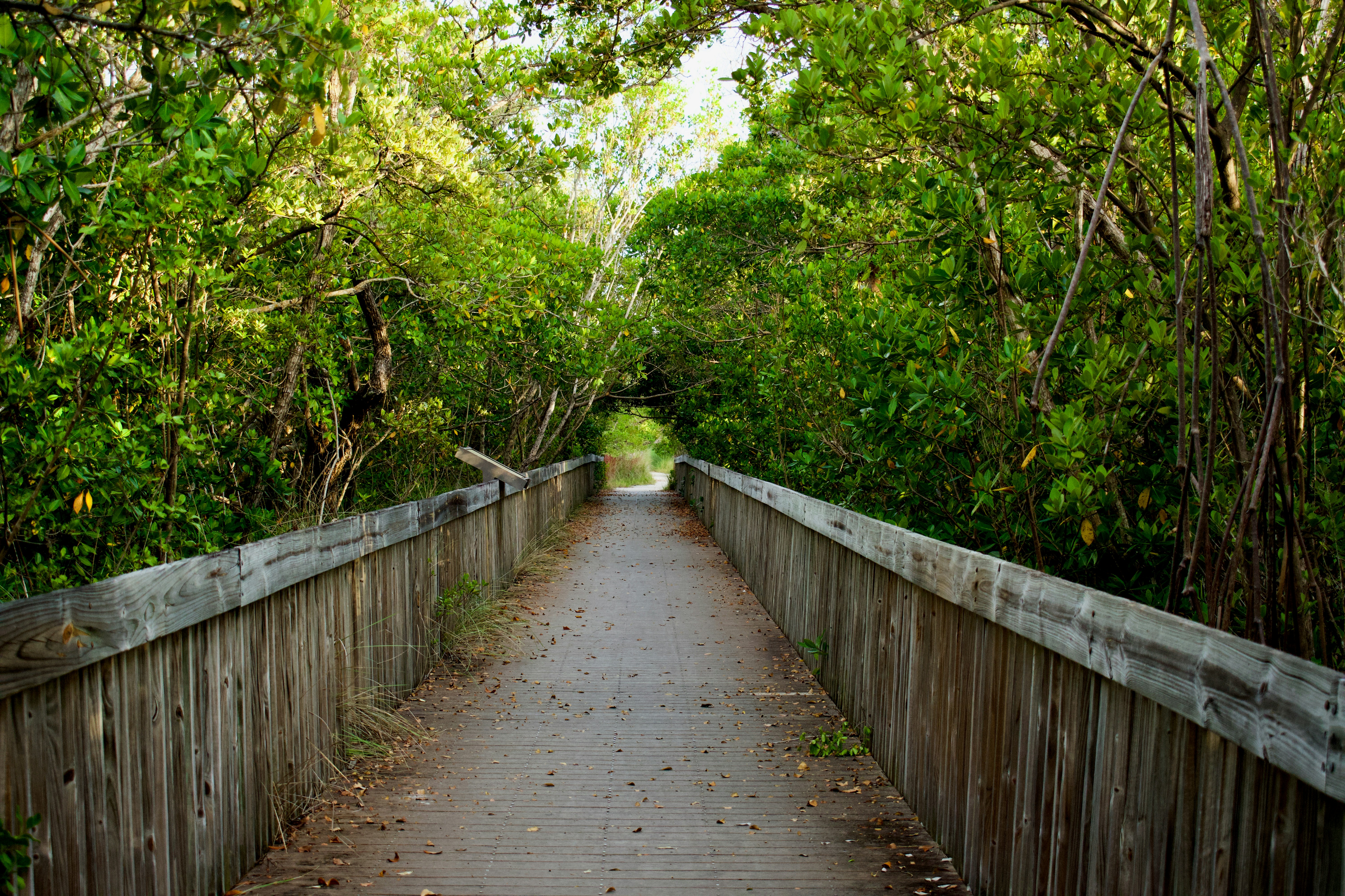 looking down a boardwalk by the beachFaith Crabtree