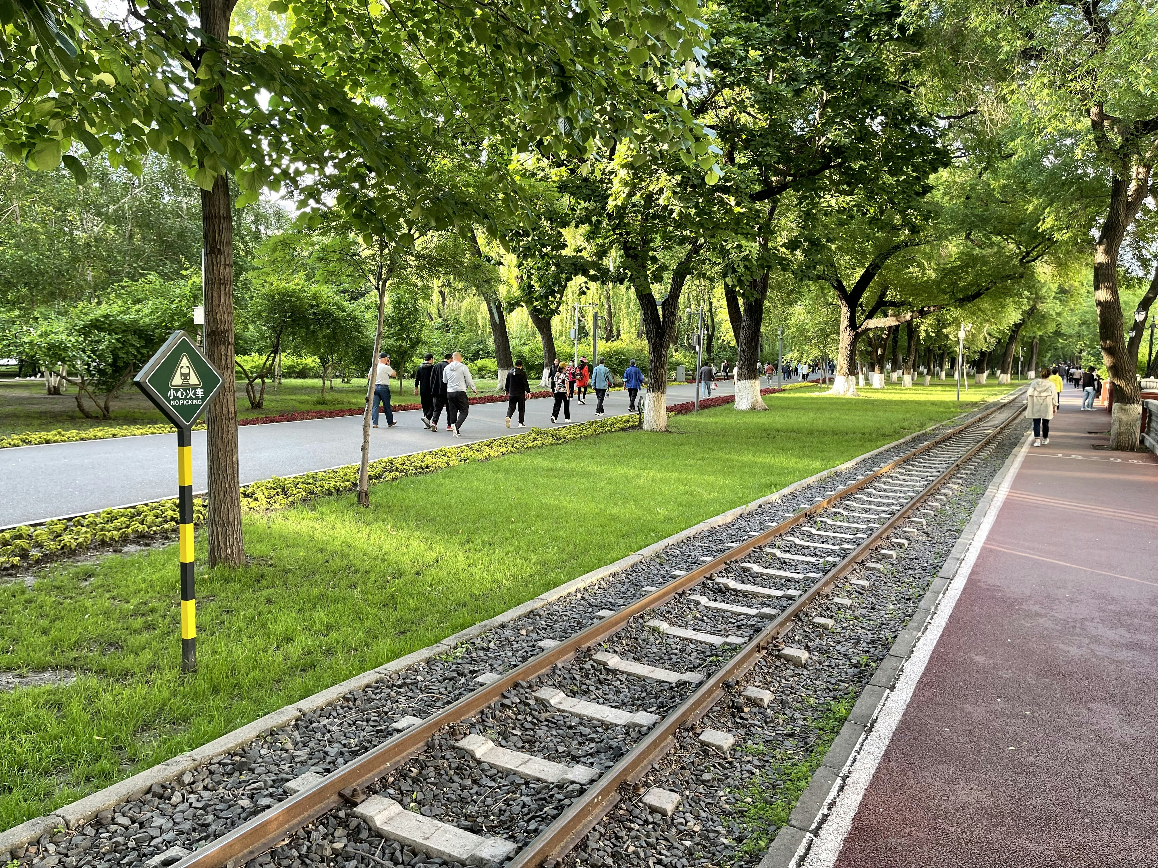 Tramway Walk Trail (2025) – Best of TikTok, Instagram & Reddit Travel Guide