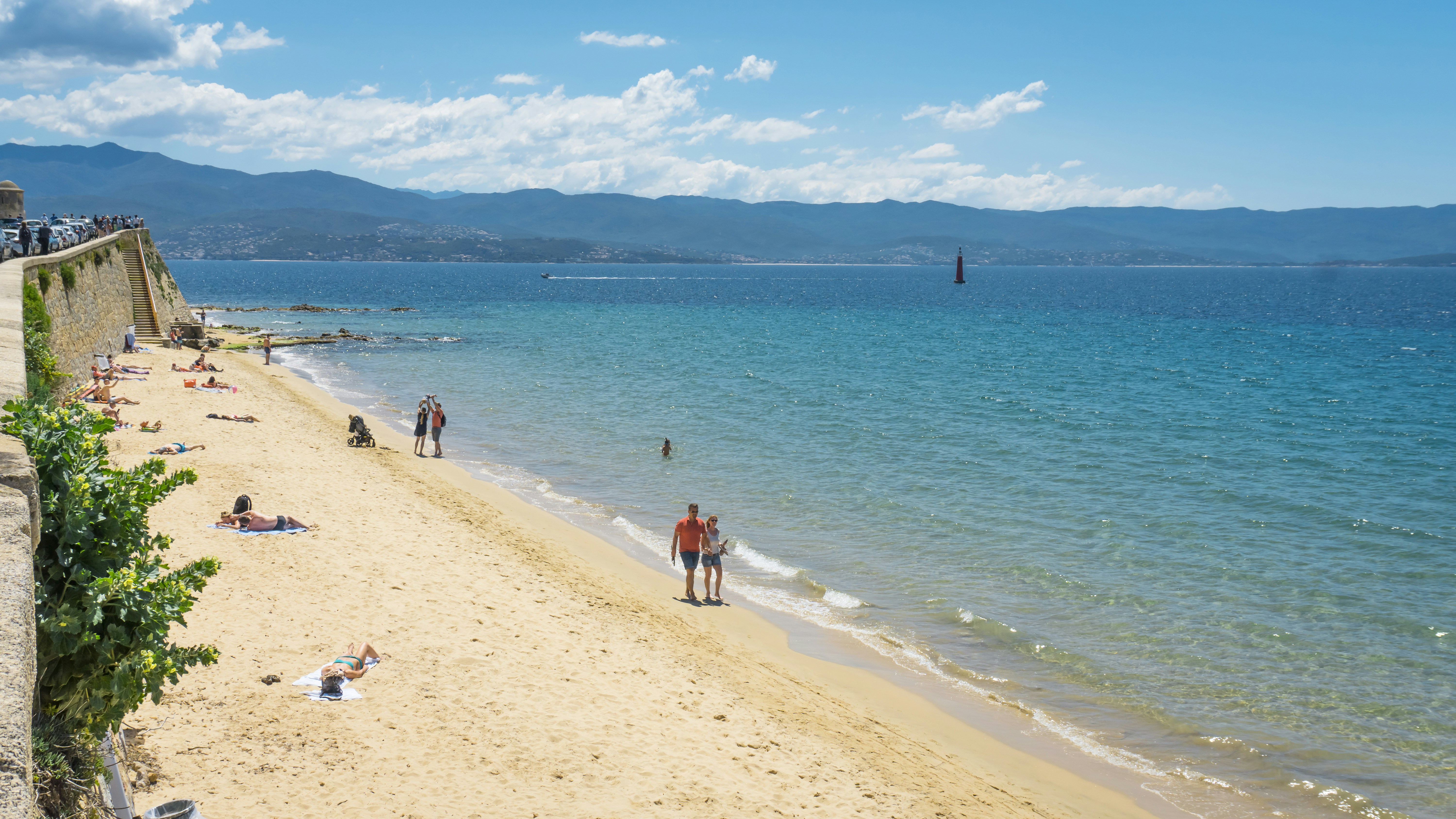 Two Wanderers at the Waterline: A Sunlit Shoreline Moment