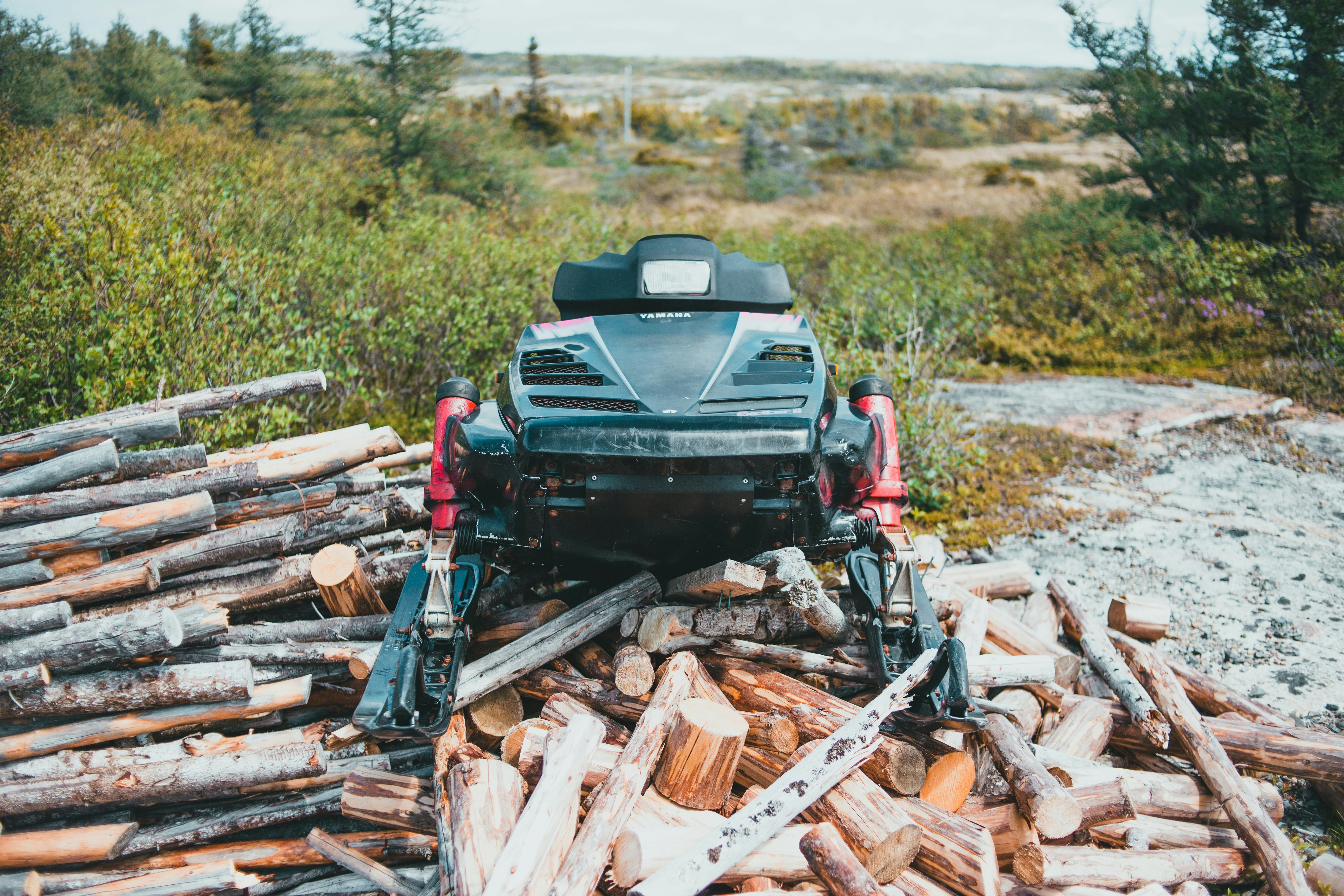 Teal RC Snowmobile Perched on a Log Pile in a Quiet Forest Clearing