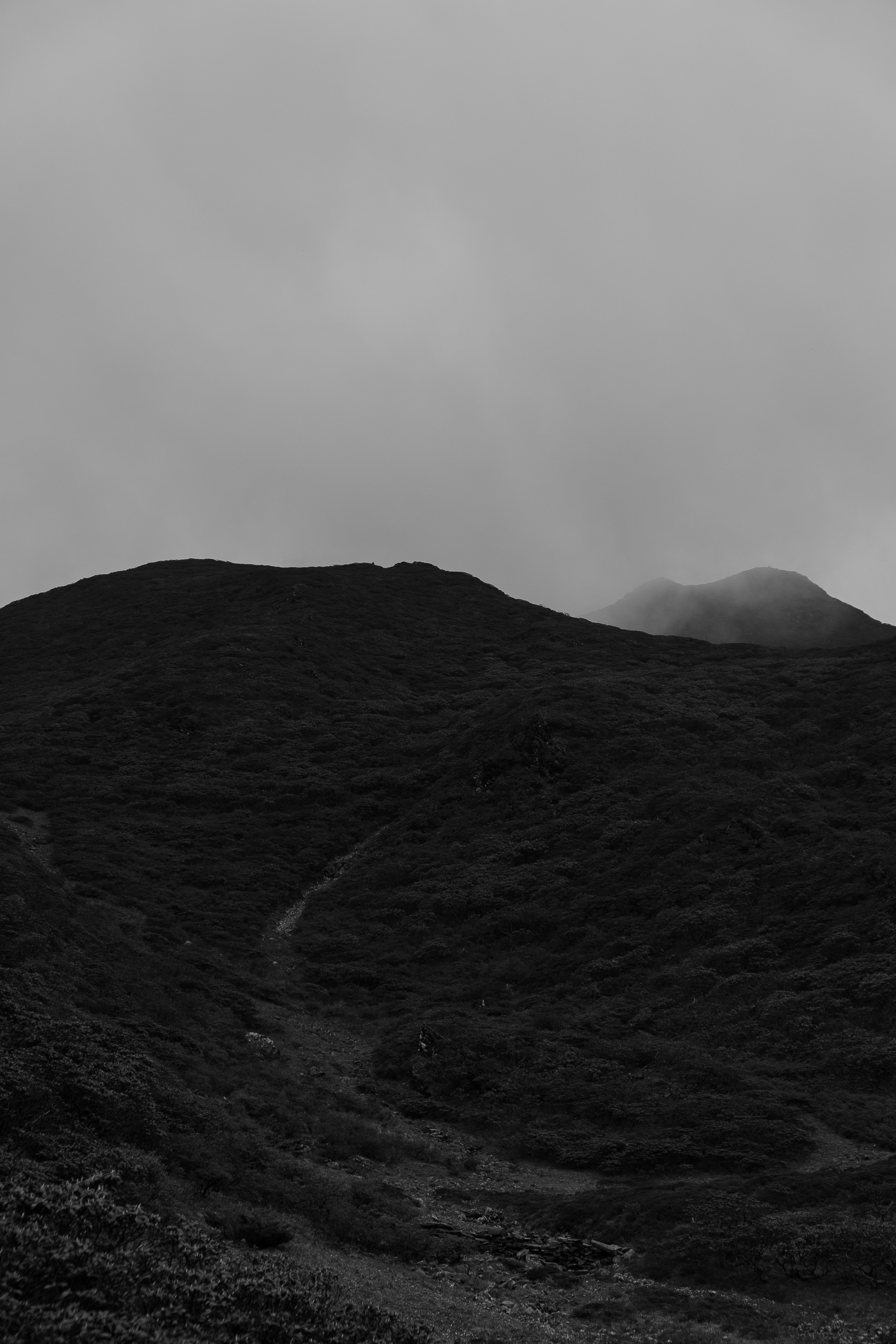 tex | 100+ best free tex, background, pattern and texture photos on ...