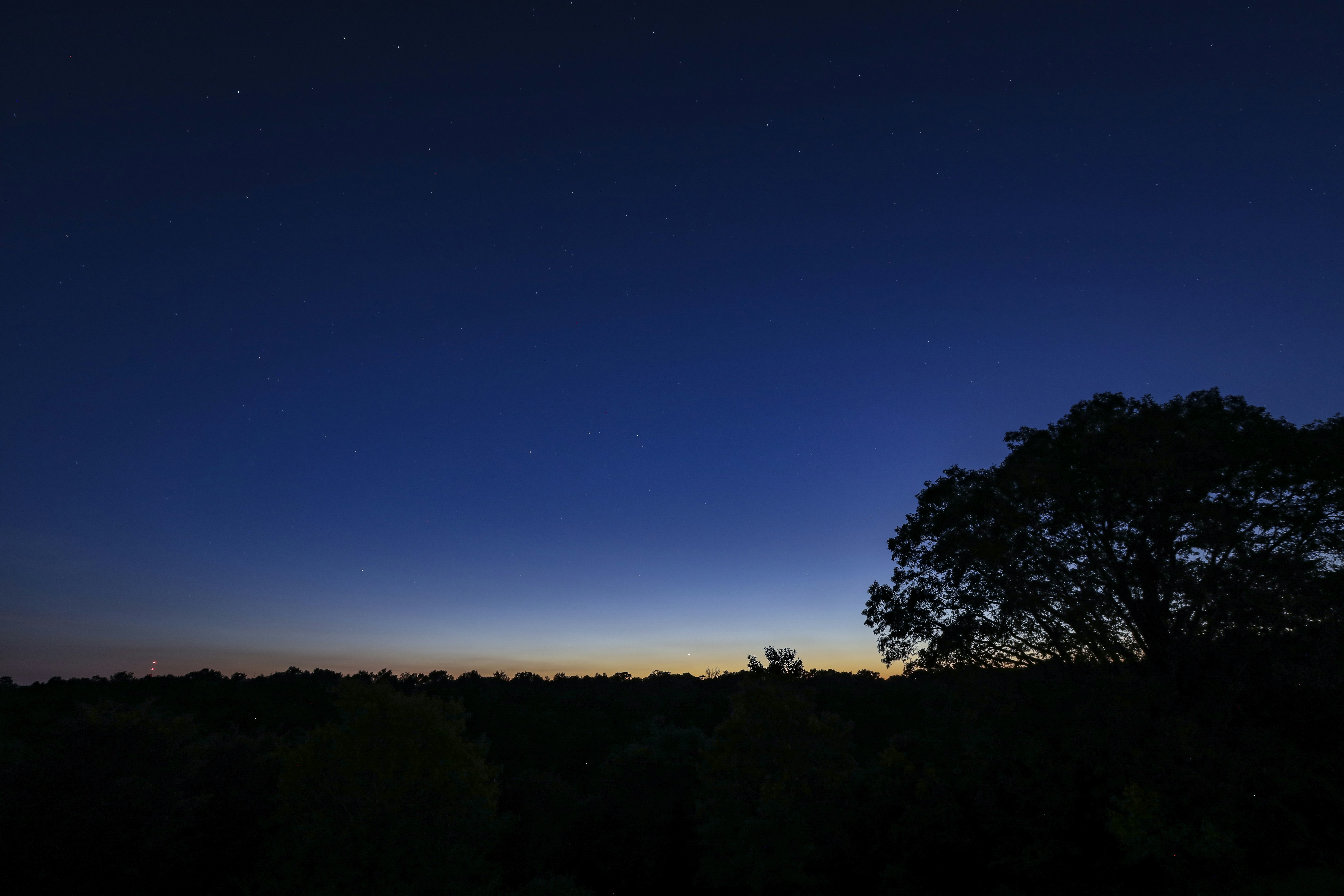 Silhouetted tree line against a deepening blue twilight sky with stars beginning to appear.