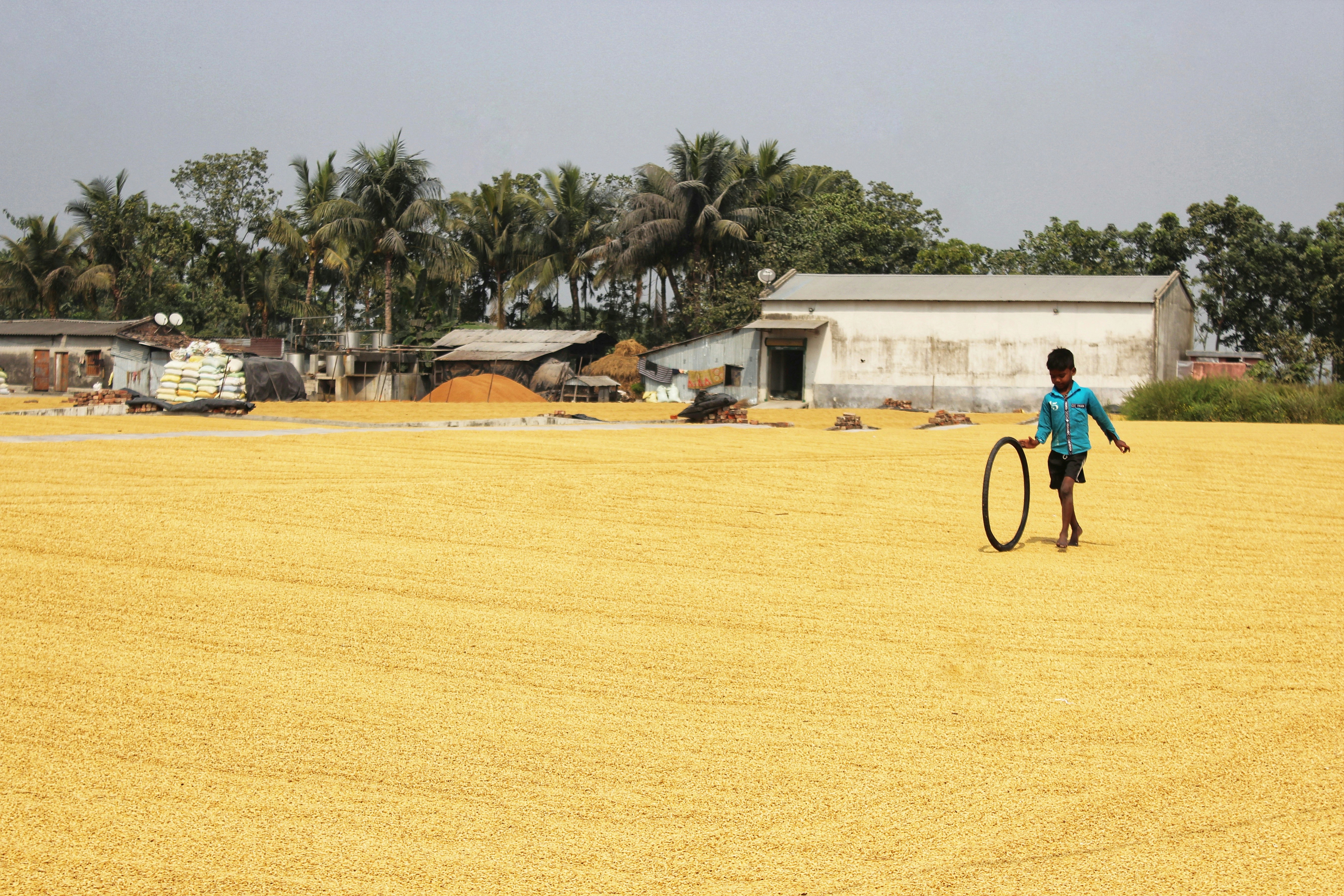 Youth with Hoop on a Sea of Golden Field