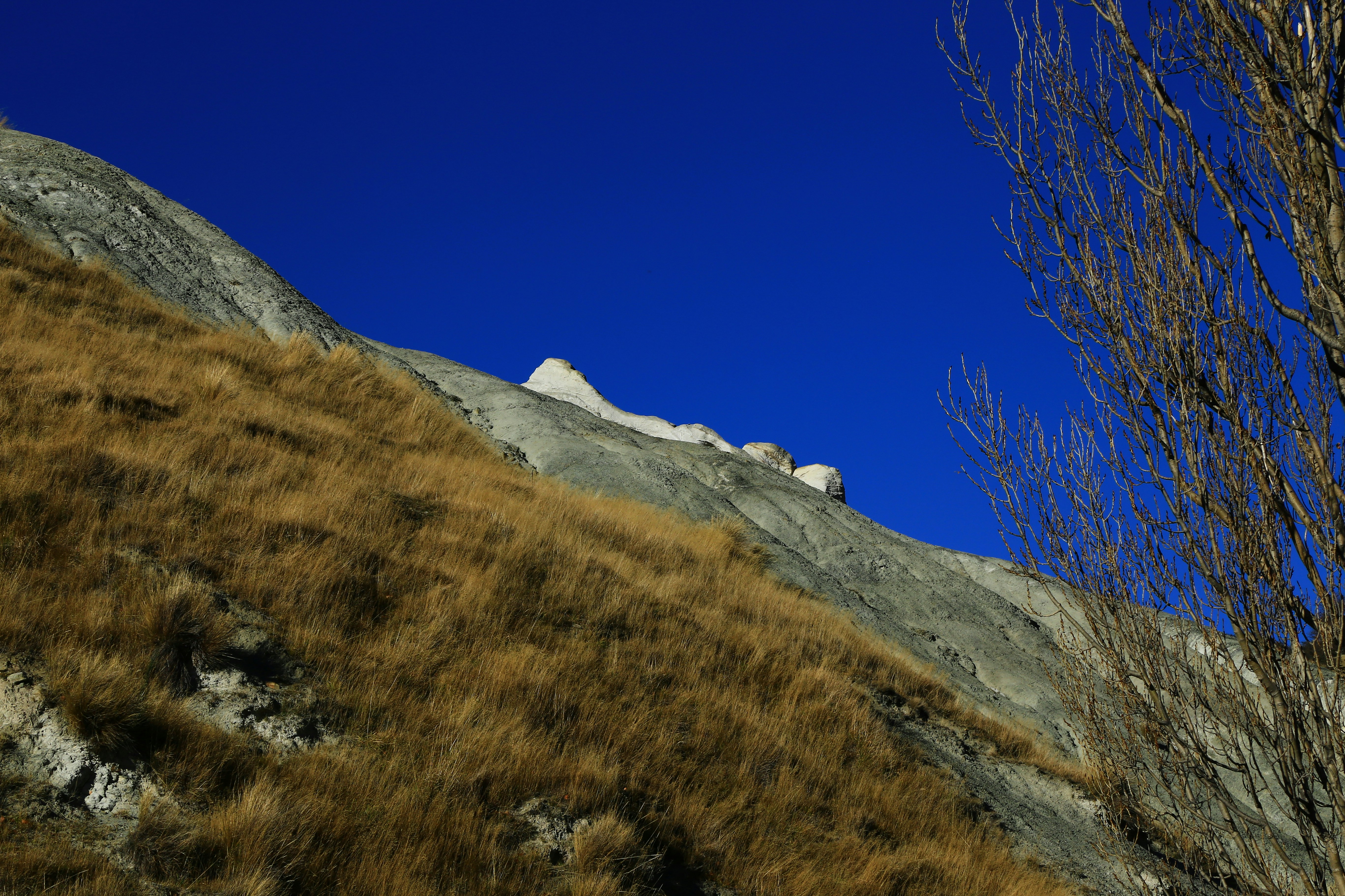 White rock sticks up above a big gray rock with grasses and branches.
