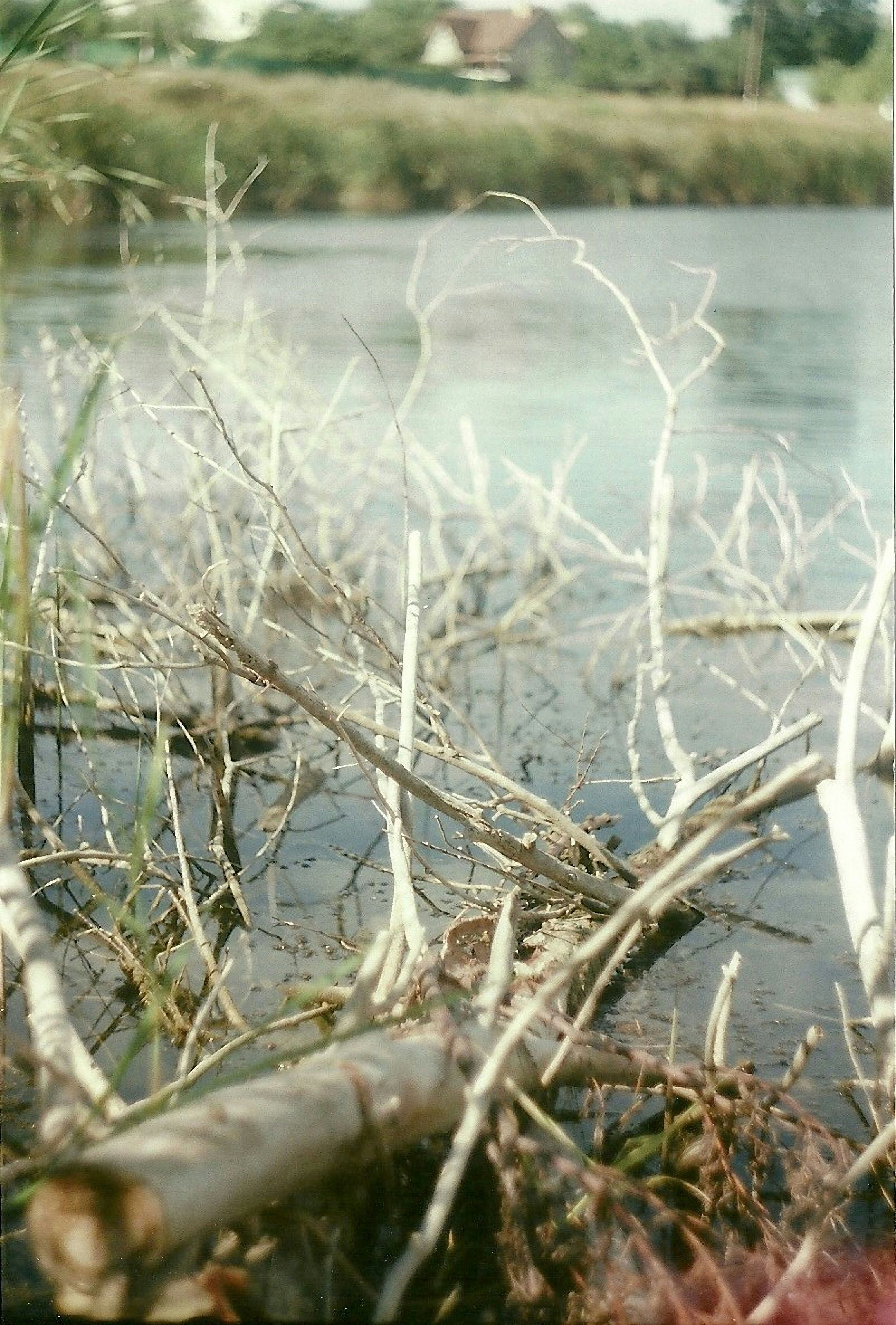 Empty Nester Pictures | Download Free Images on Unsplash