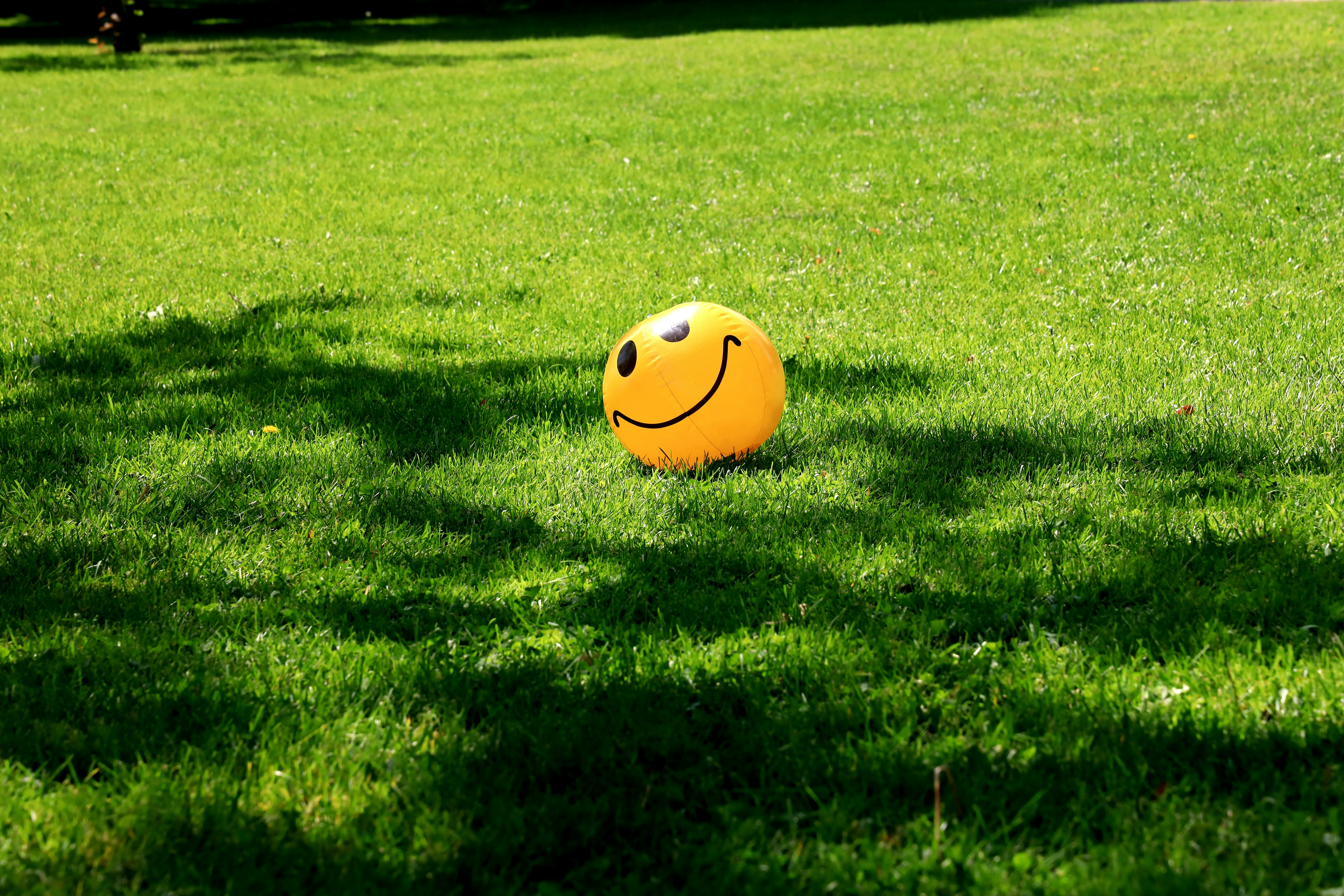 A cheerful yellow smiley face ball resting on vibrant green grass, surrounded by gentle shadows from nearby trees.