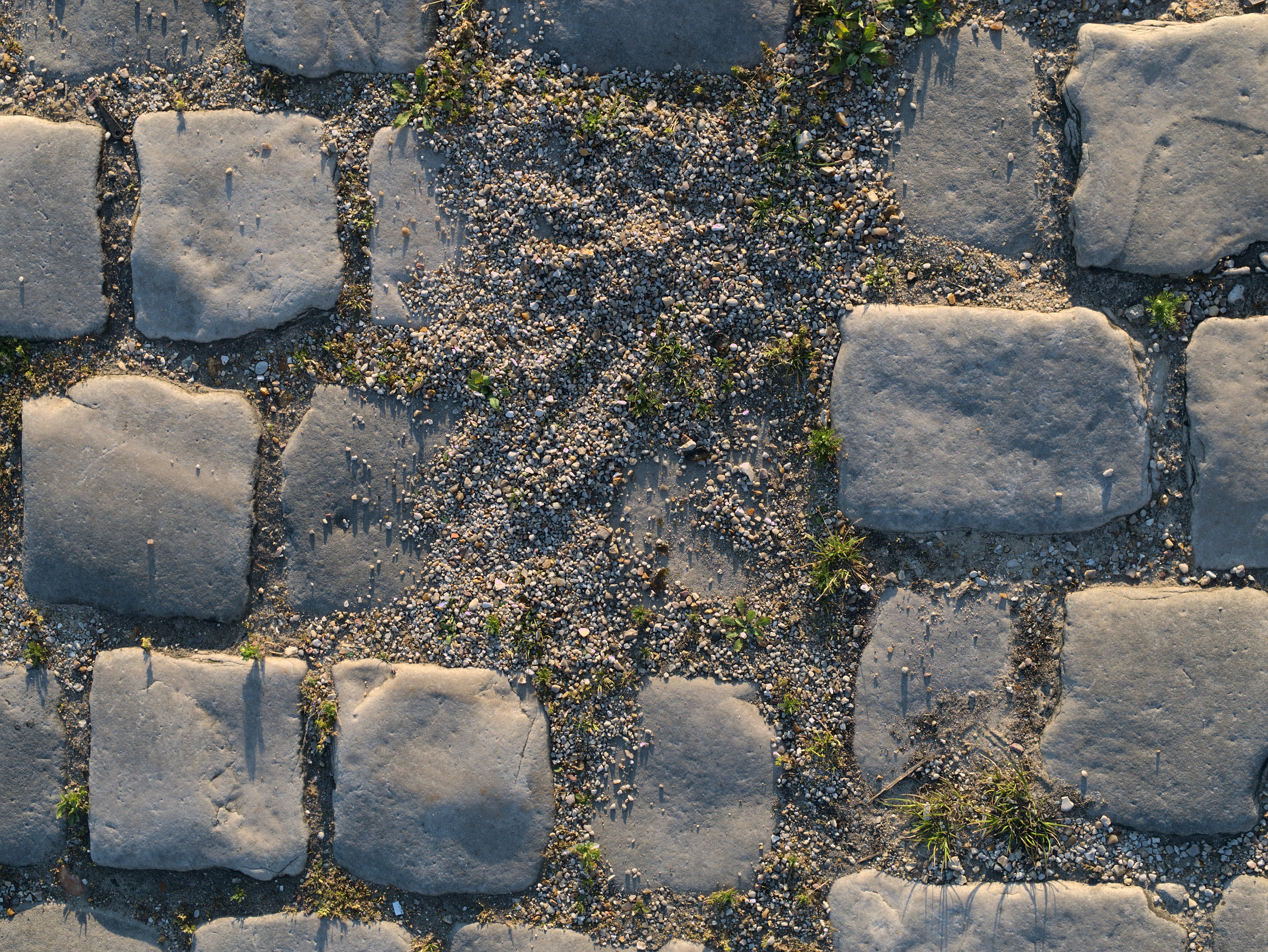 Paved road texture during sunset | a close up of a stone walkway with grass growing on it
