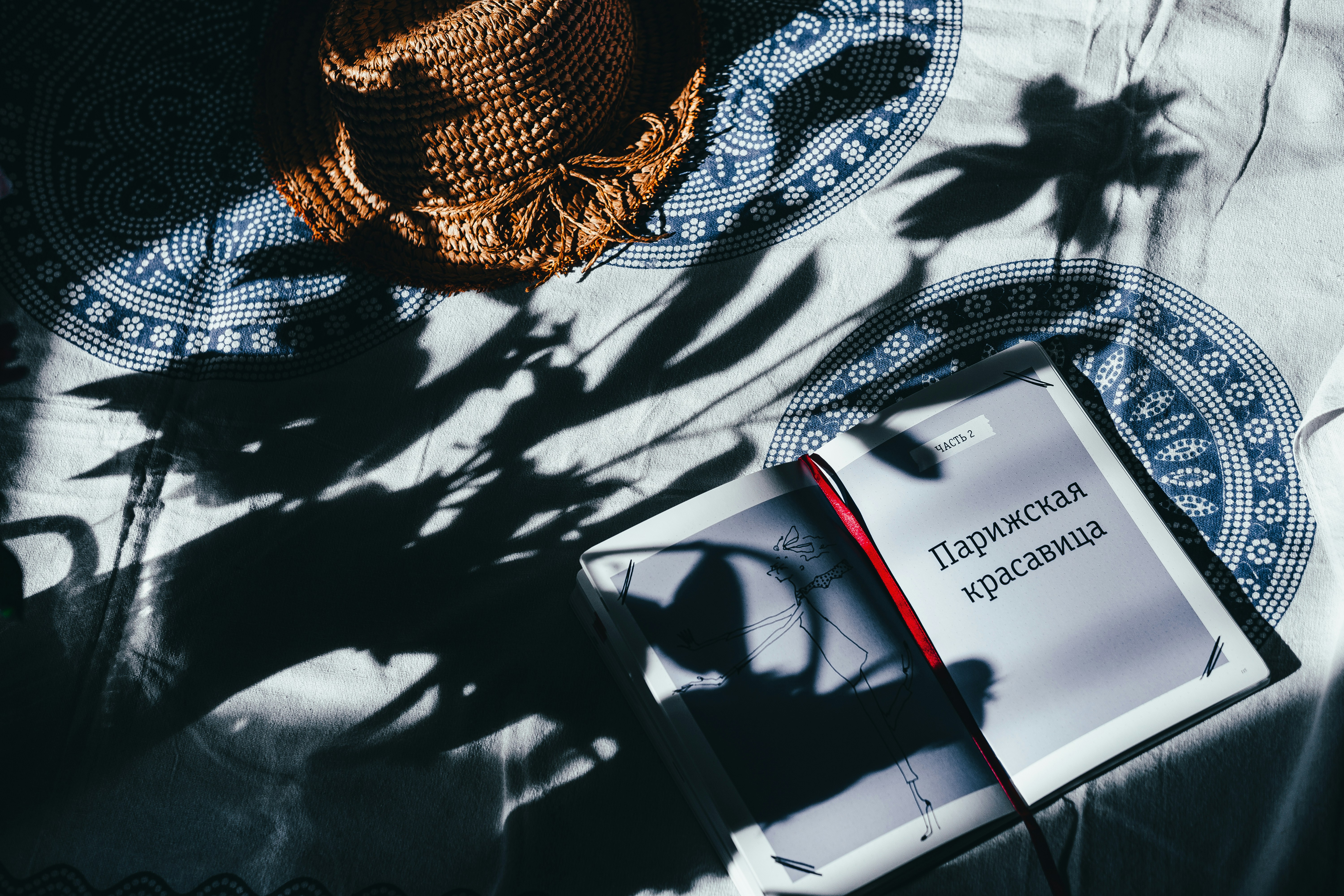 Shadows on Blue Linen: Hat, Book, and a Quiet Parisian Moment