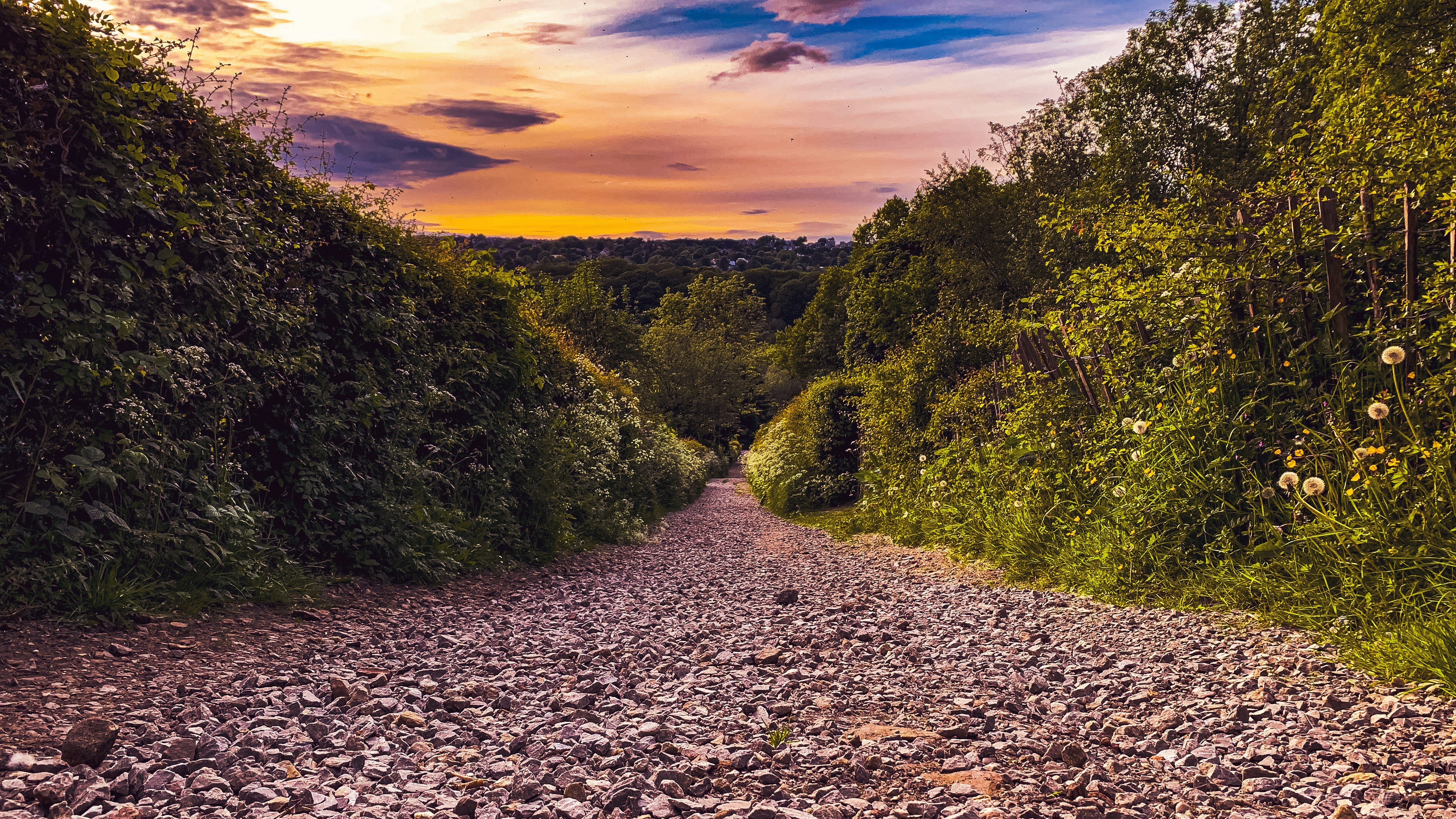 Gravel path flanked by lush greenery leads into a vibrant sunset sky.