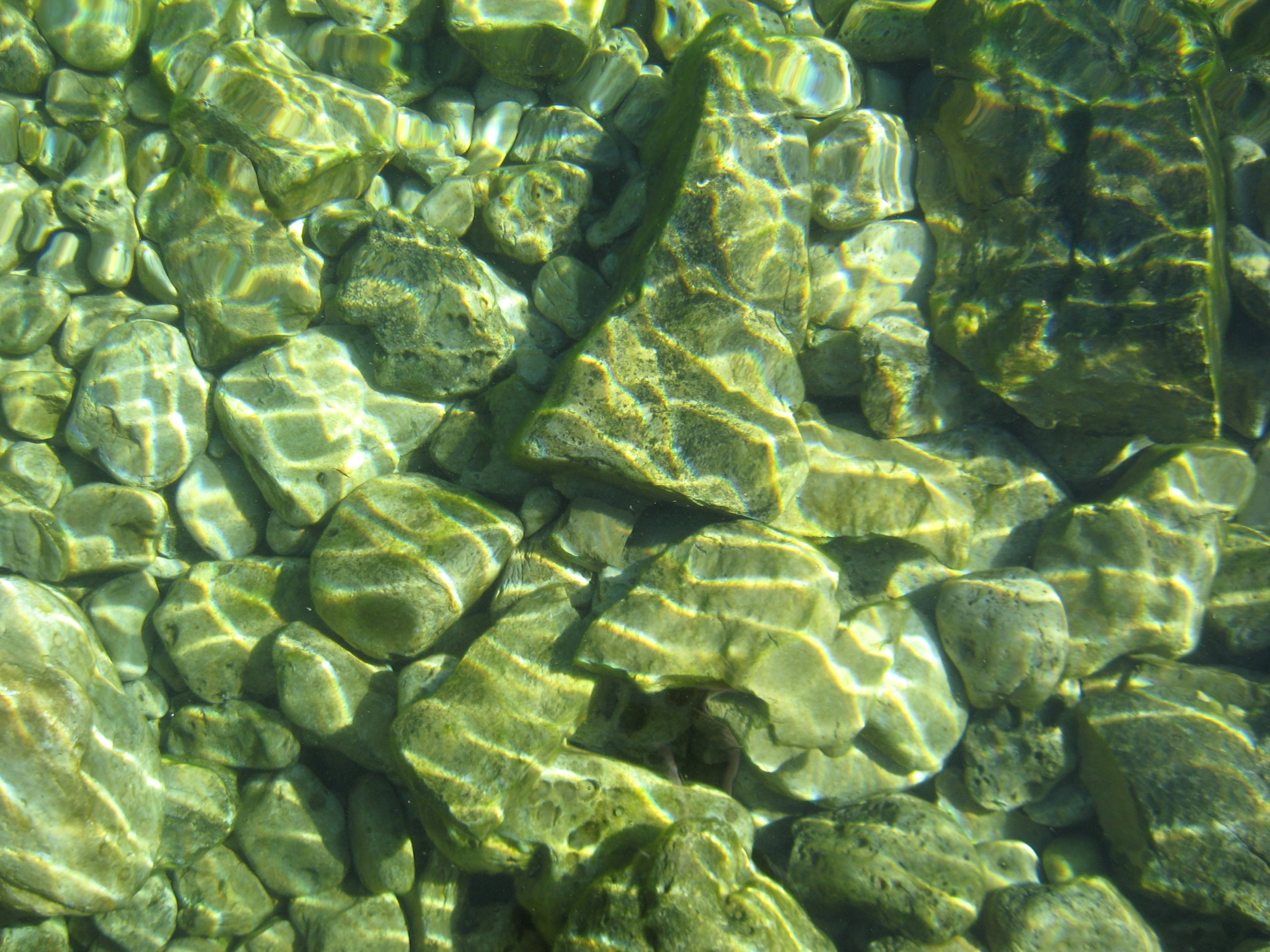 Sunlight dances on the surface of submerged rocks, creating a mesmerizing pattern of reflections and textures in clear water.