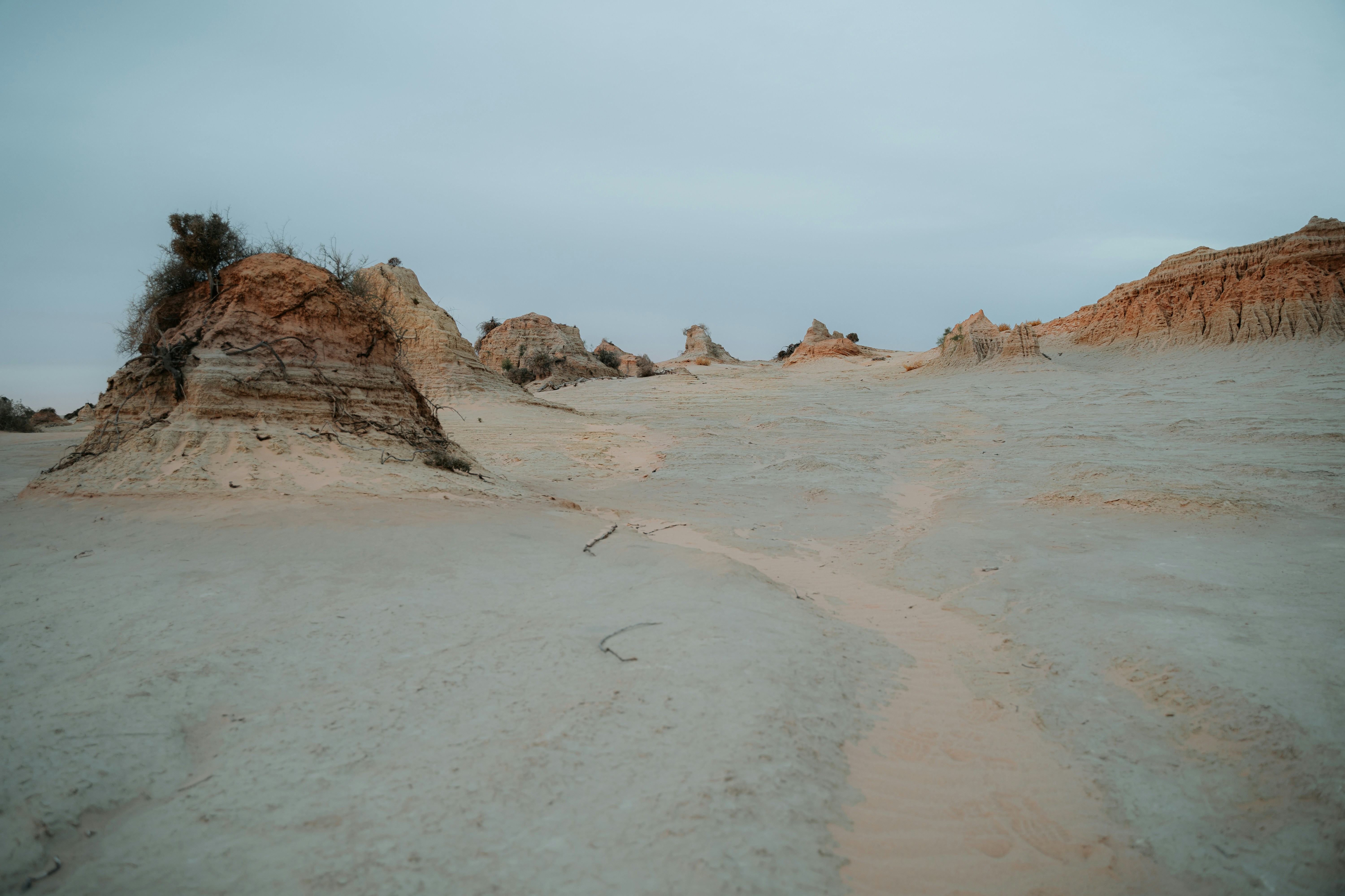 Stone Sentinels Along a Pale Desert Trail