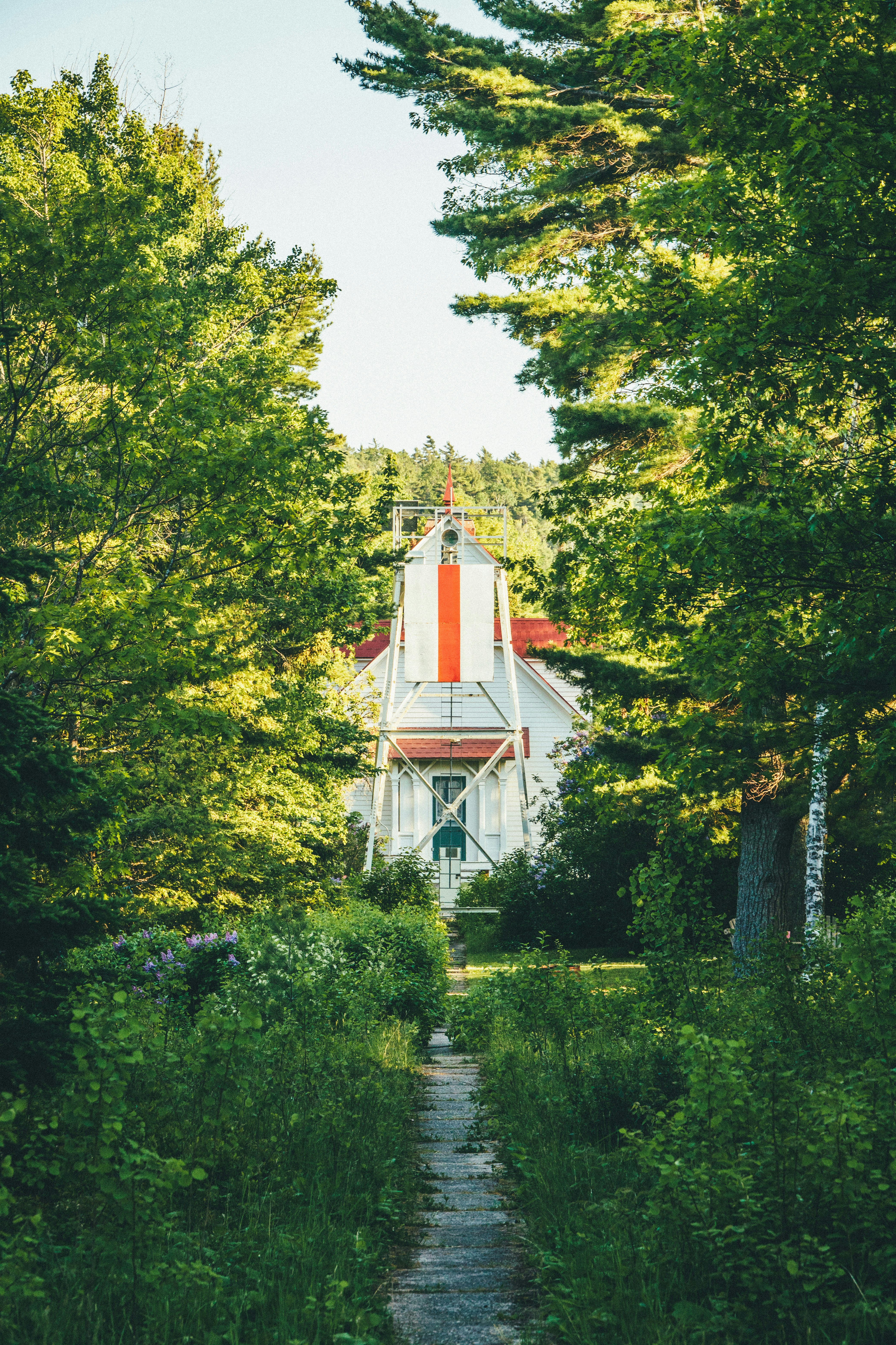 Golden hour in the northwoods