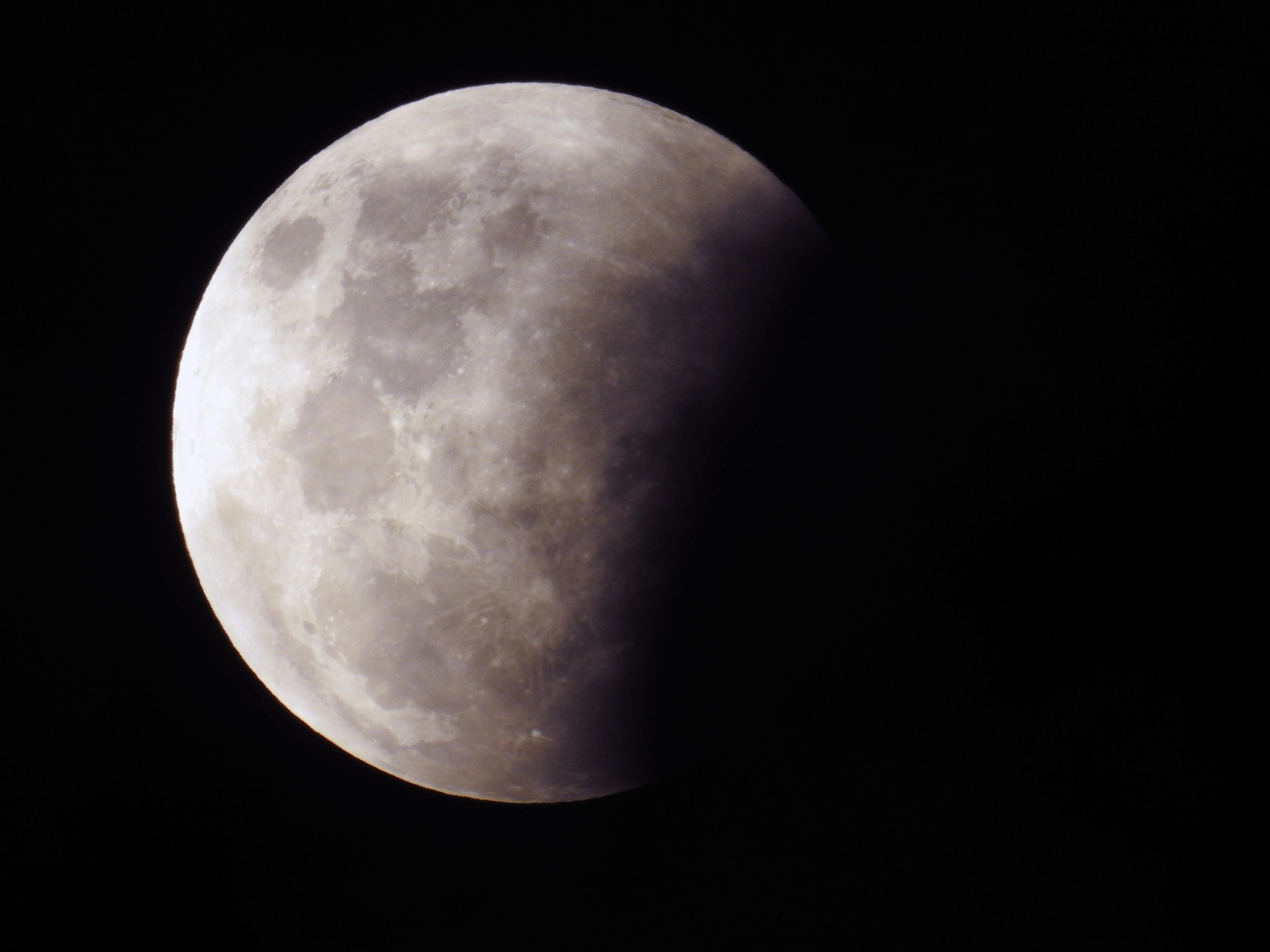 Gilded Crescent Emerging from Earth's Shadow
