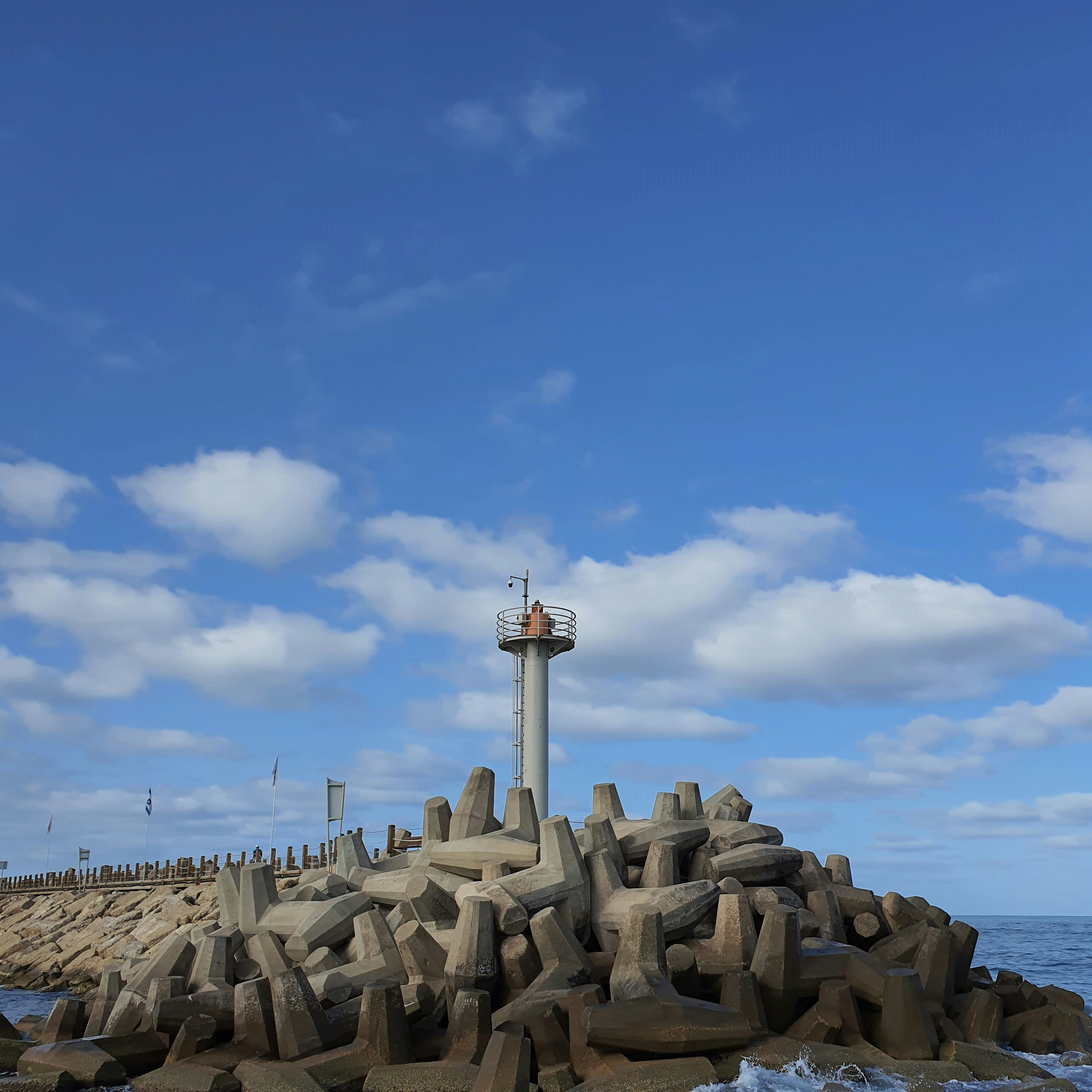 Guardians of the Shoreline