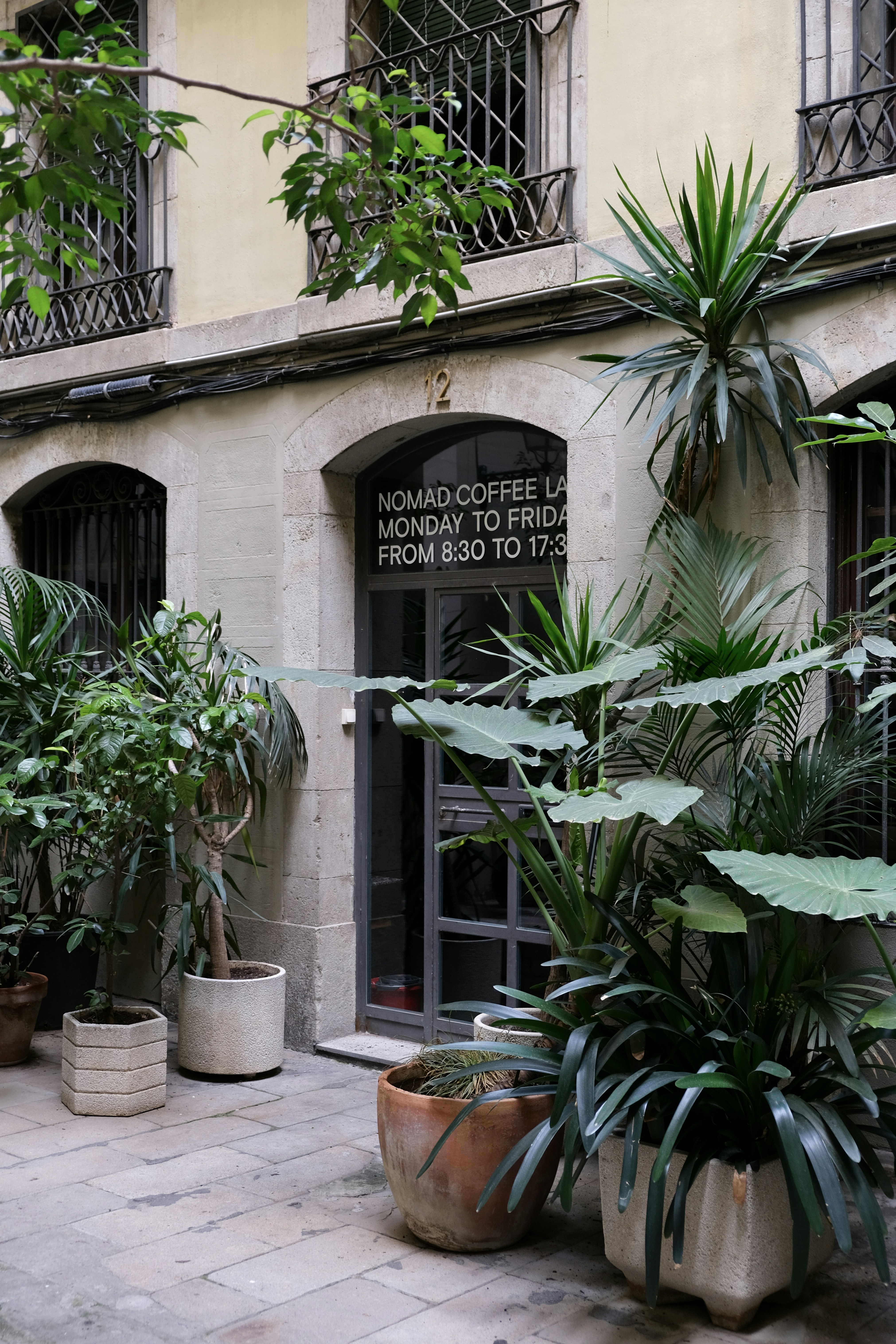 Courtyard Foliage Framing a Cafe Sign