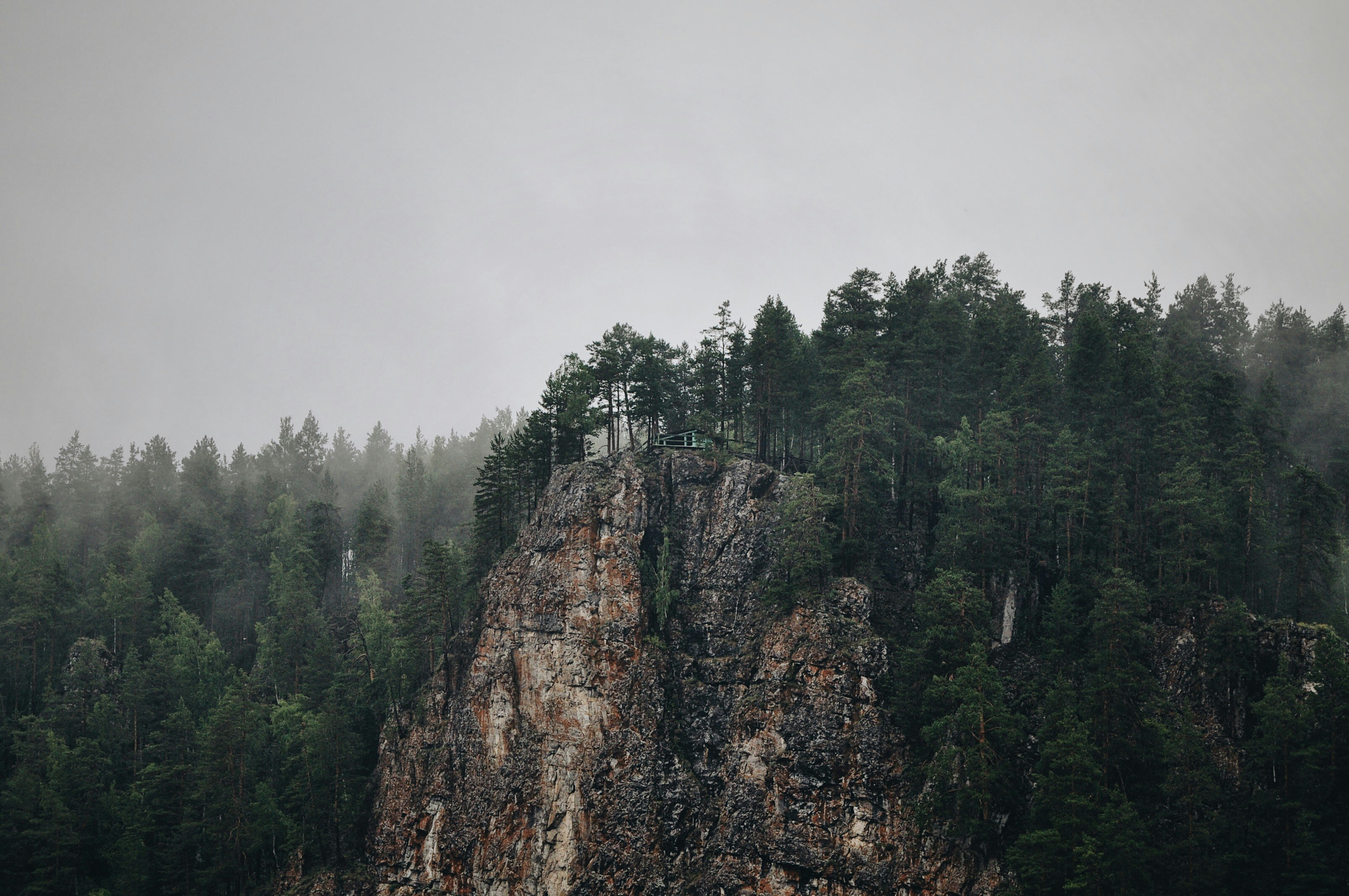 a mountain with trees on top of it