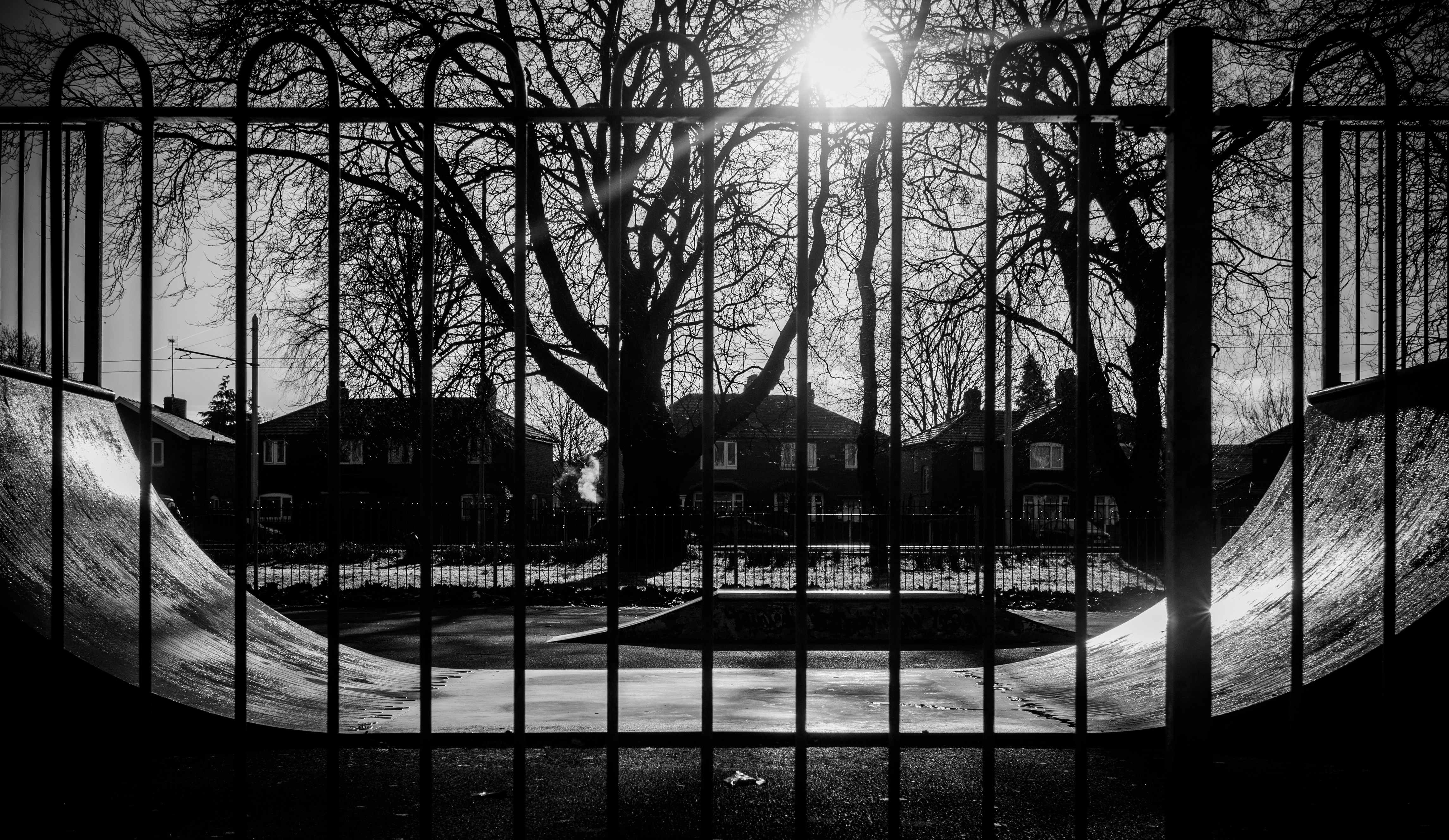 Sunlit Silhouette Over the Park: A Black-and-White Playful Gated Scene