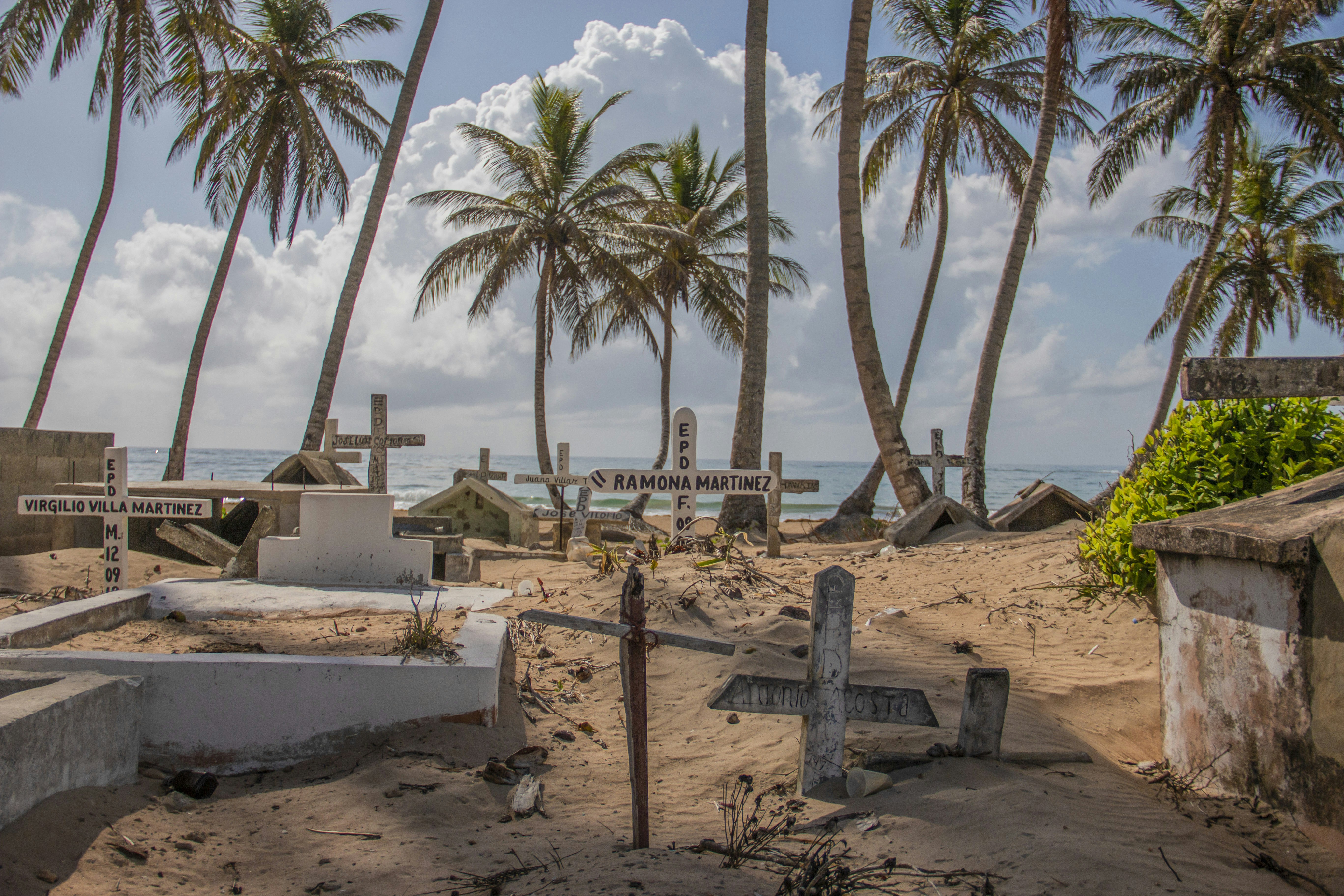 Dunes and Crossroads: A Quiet Cemetery by the Palm-Fringed Shore