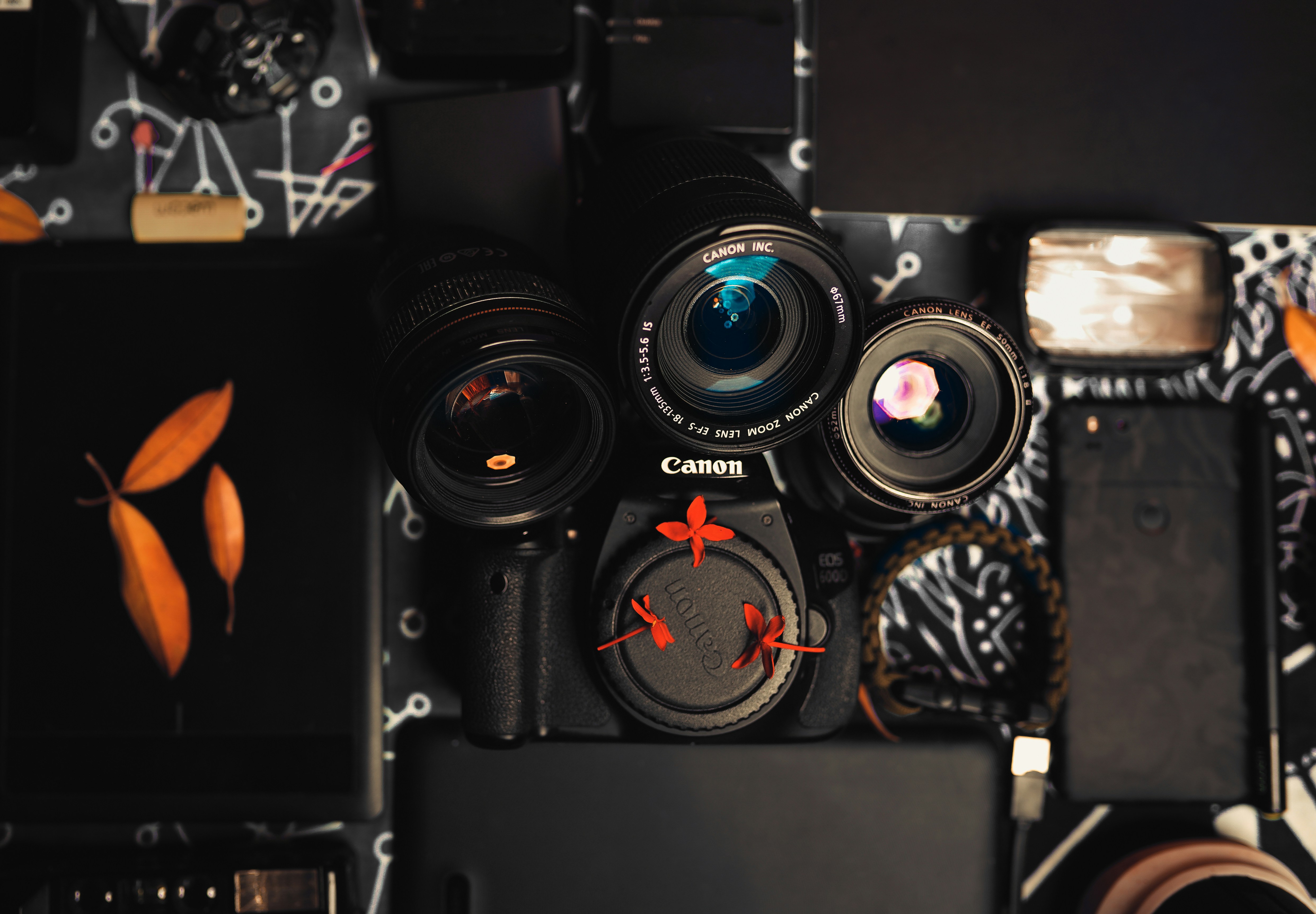 A group of cameras sitting on top of a table photo – Free Camera Image ...