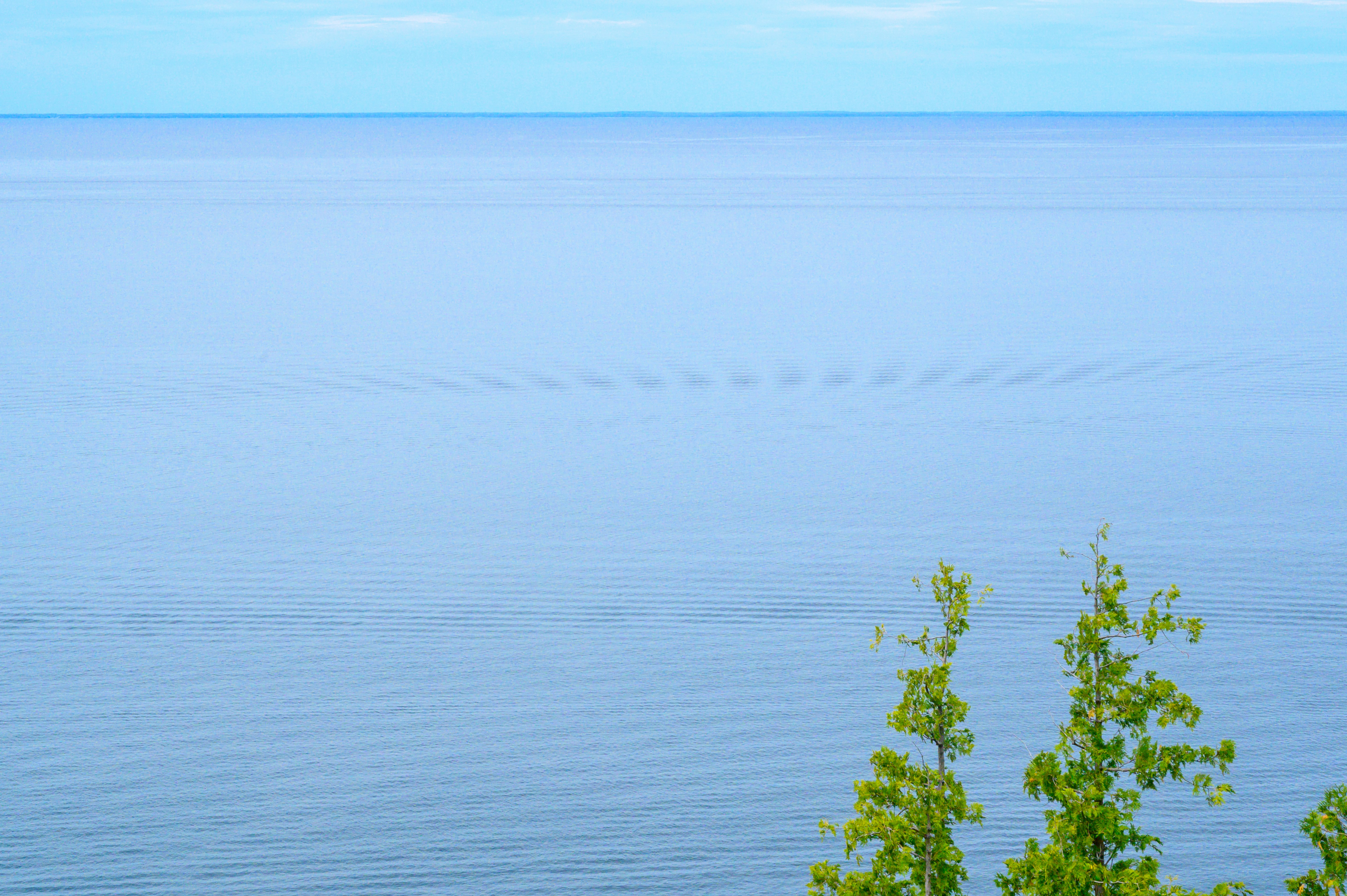 Gentle Ripples at Distant Horizon