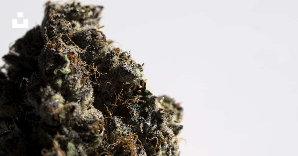 白い背景に雑草の接写の写真 Unsplashの大麻の無料画像