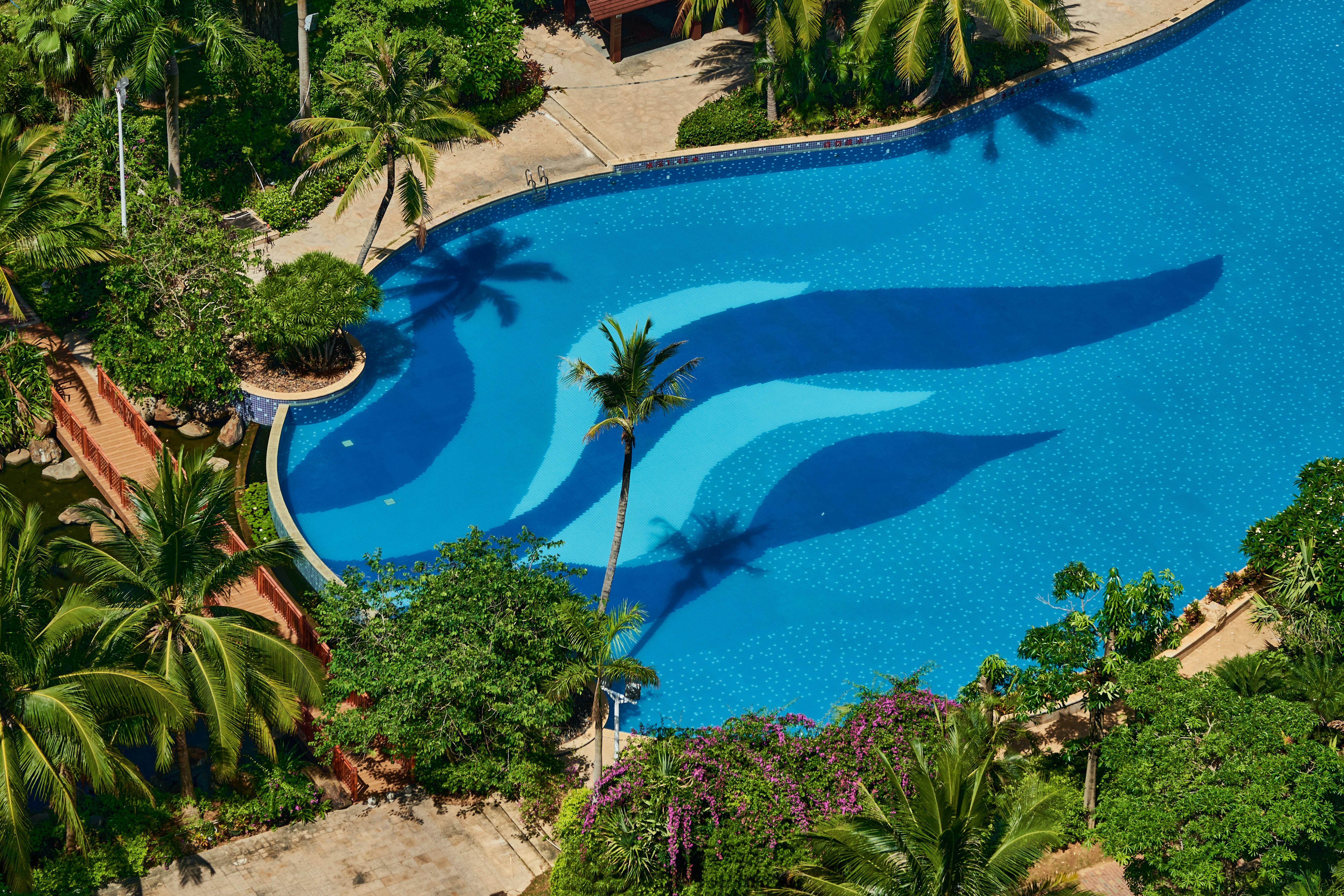An aerial view of a swimming pool surrounded by palm trees photo – Free ...