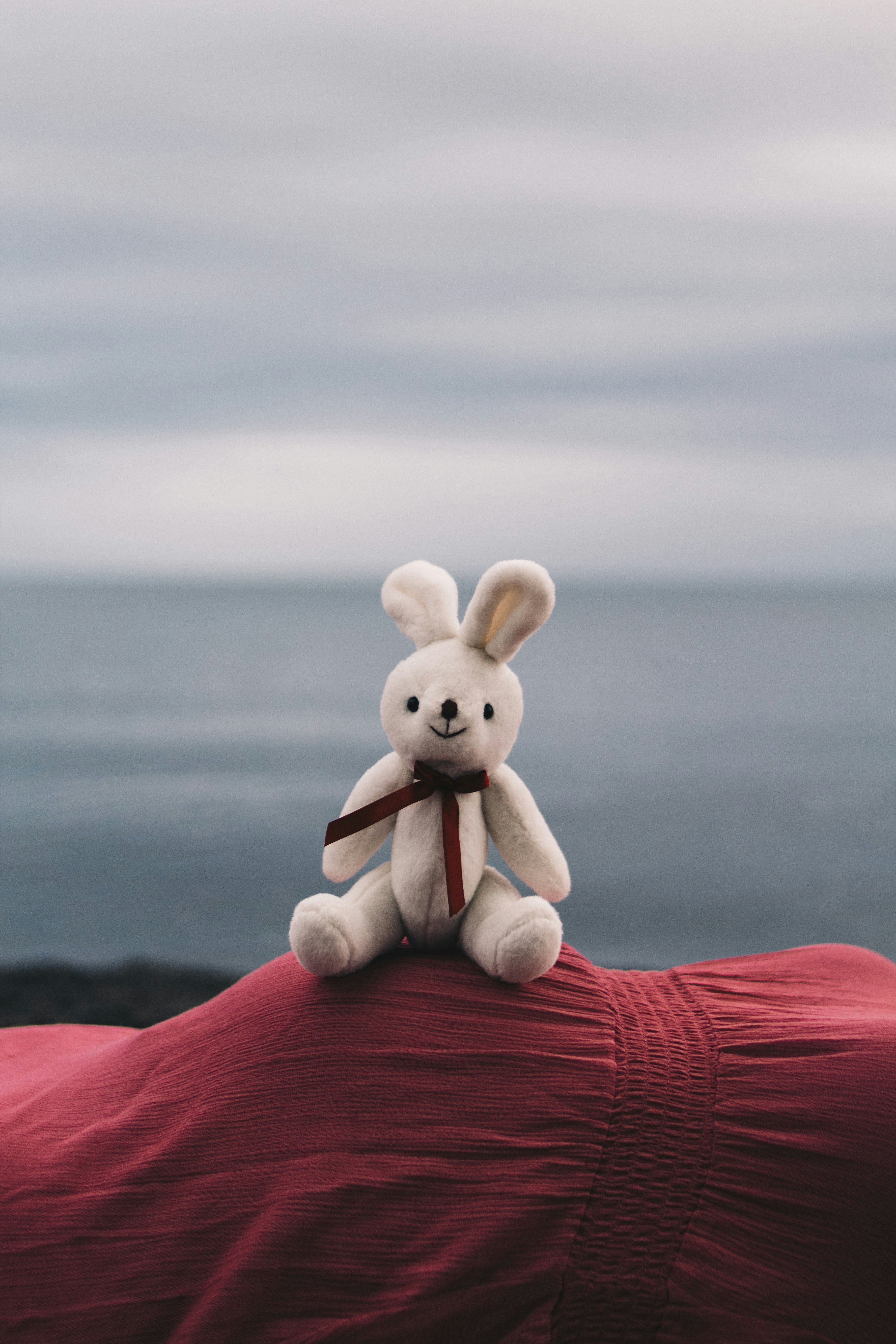 A white stuffed rabbit sitting on top of a red blanket photo – Free ...