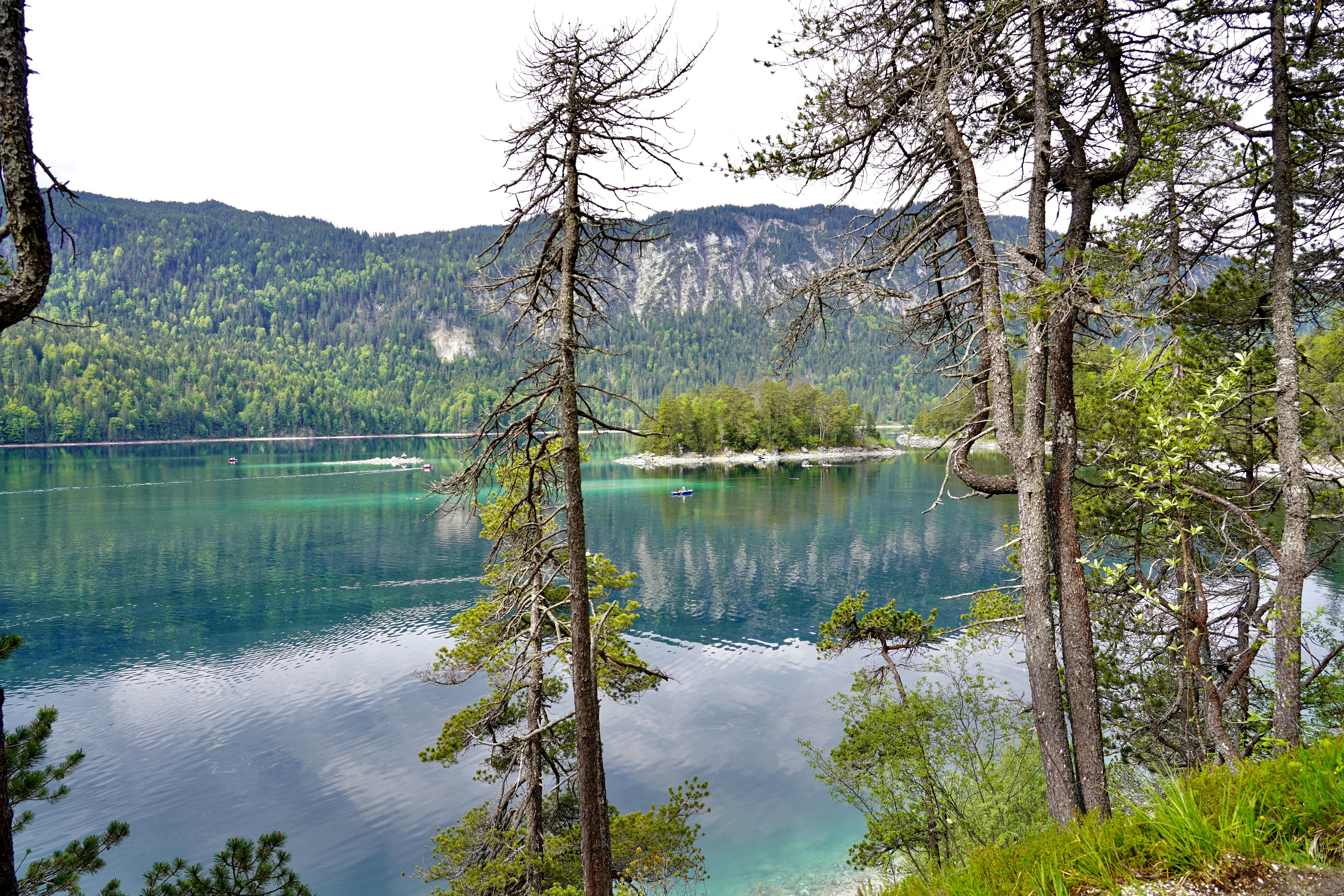 Un cuerpo de agua rodeado de árboles y montañas foto – Imagen de Alpsee ...