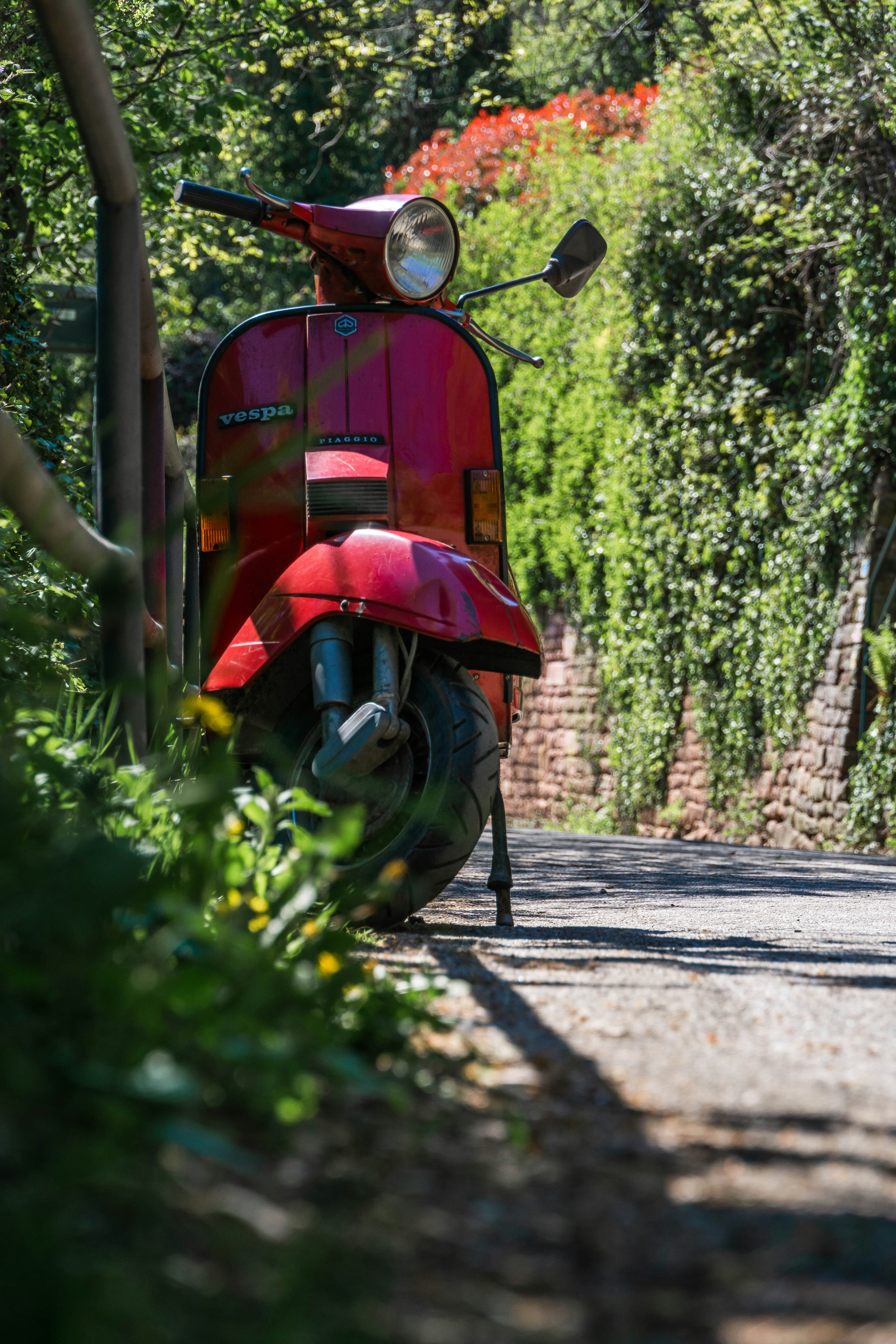 Red Vespa Anchored on a Sunlit Ivy Lane