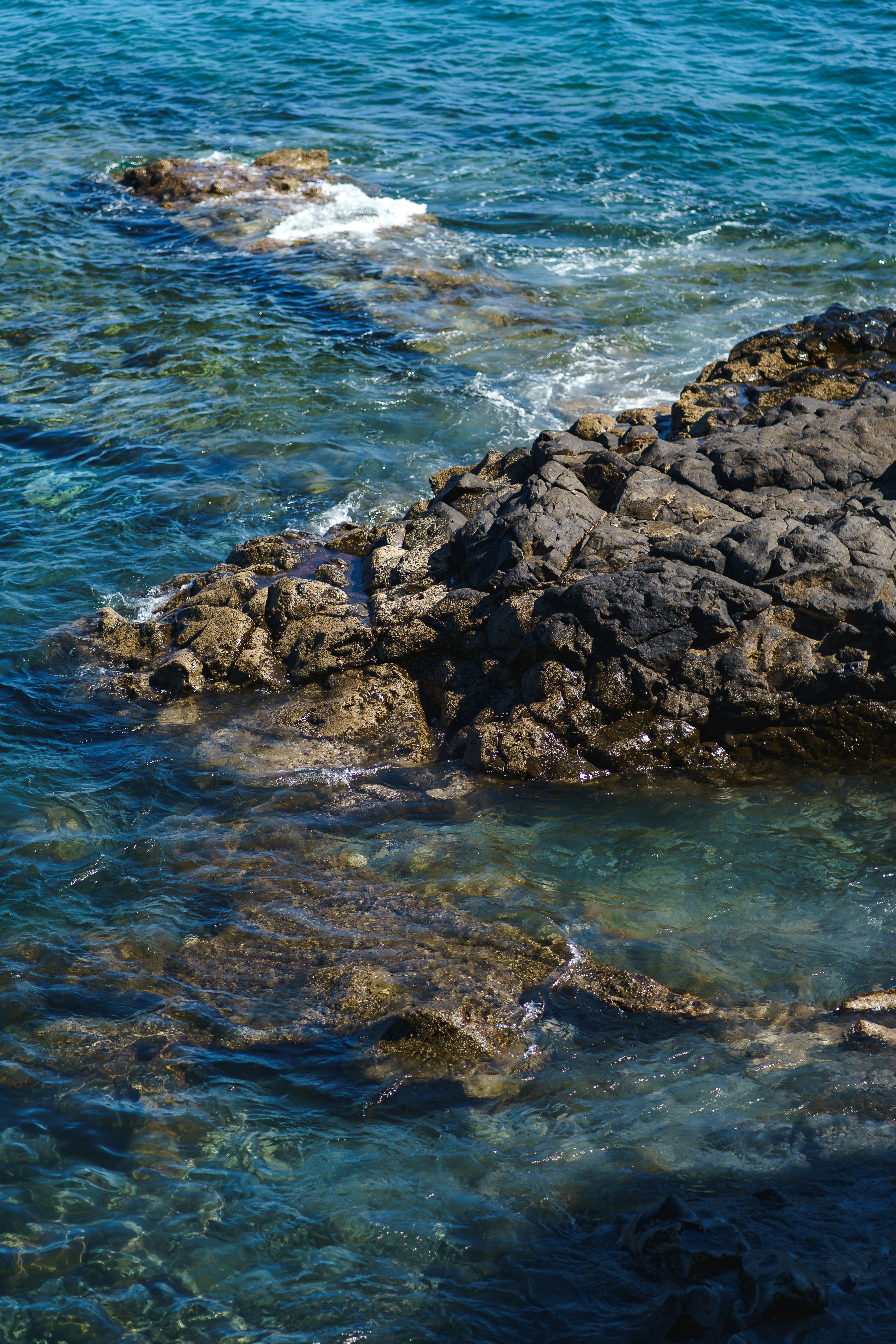 Un oiseau assis au sommet d’un rocher dans l’océan photo – Photo Gris ...