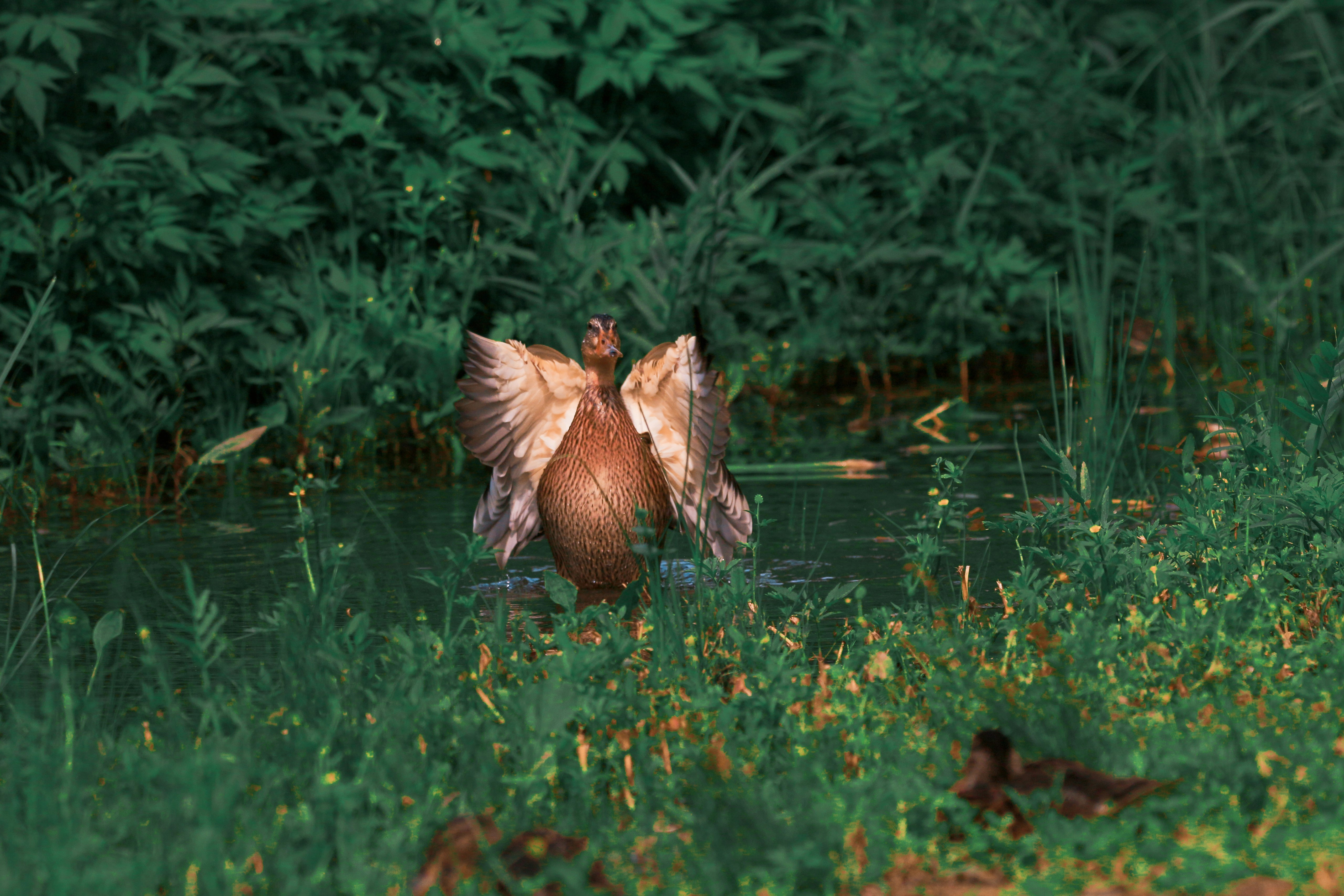 Photo by Hu lei with Canon EOS 70D