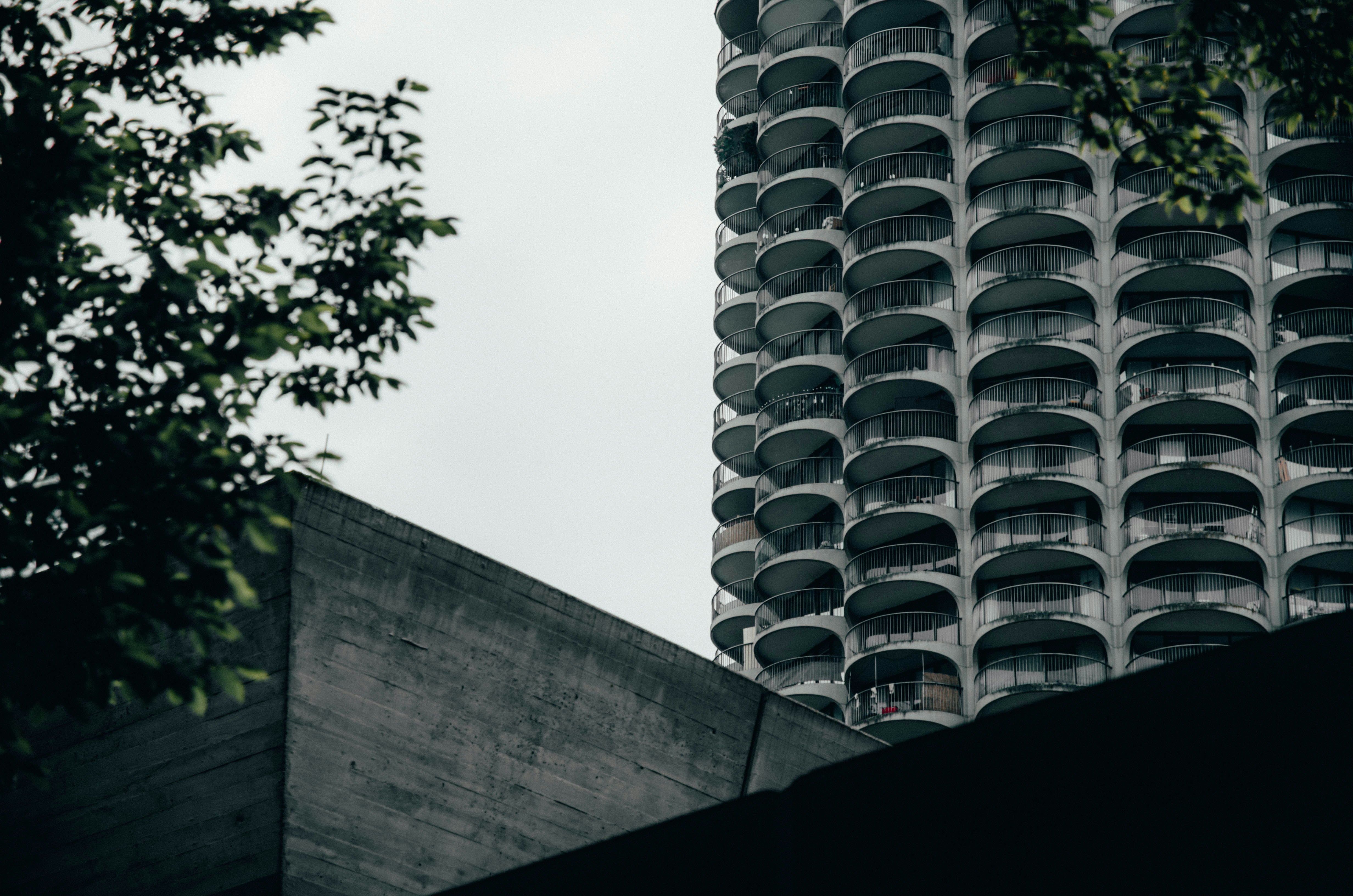 Modern high-rise building with numerous circular balconies framed by overcast skies and tree foliage.
