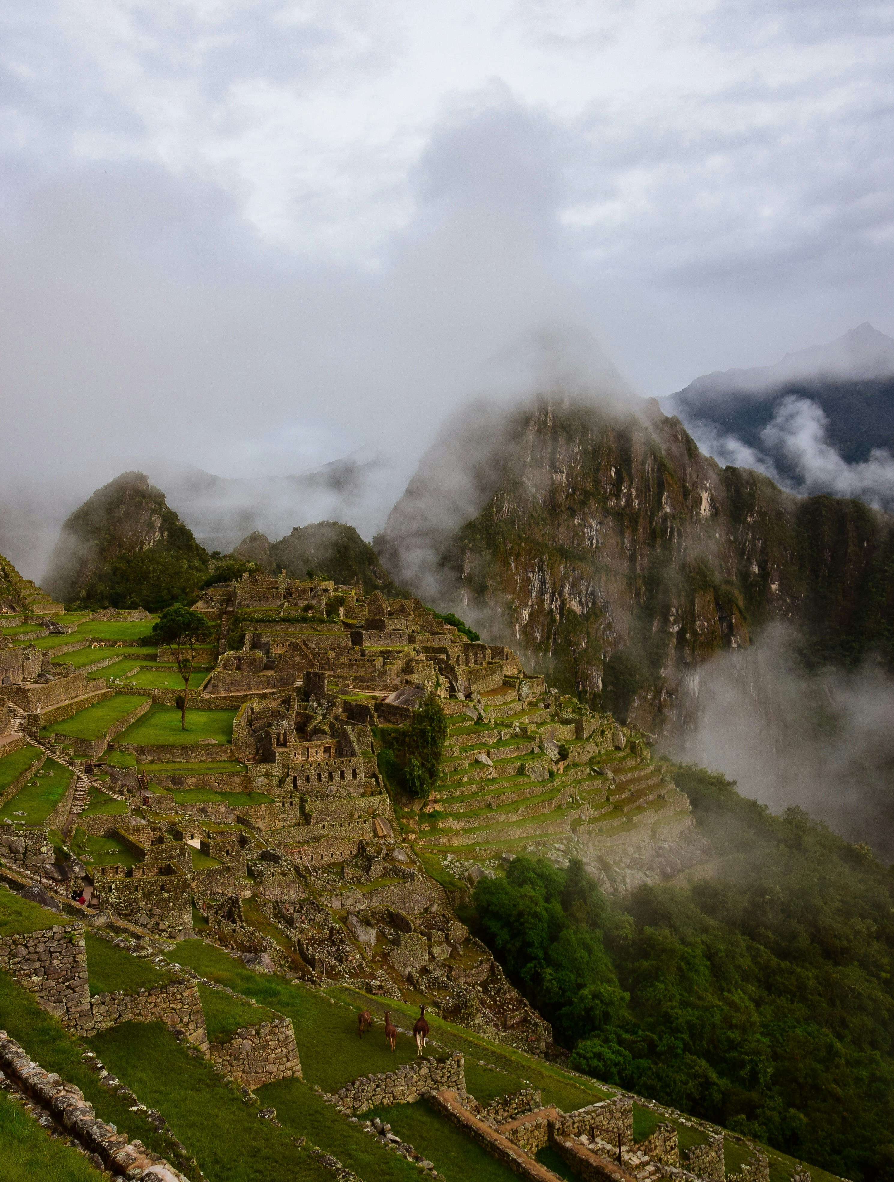 Ancient Incan ruins of Machu Picchu partially shrouded in mist, revealing terraces and structures nestled in lush green mountains. A glimpse into history amidst the clouds.