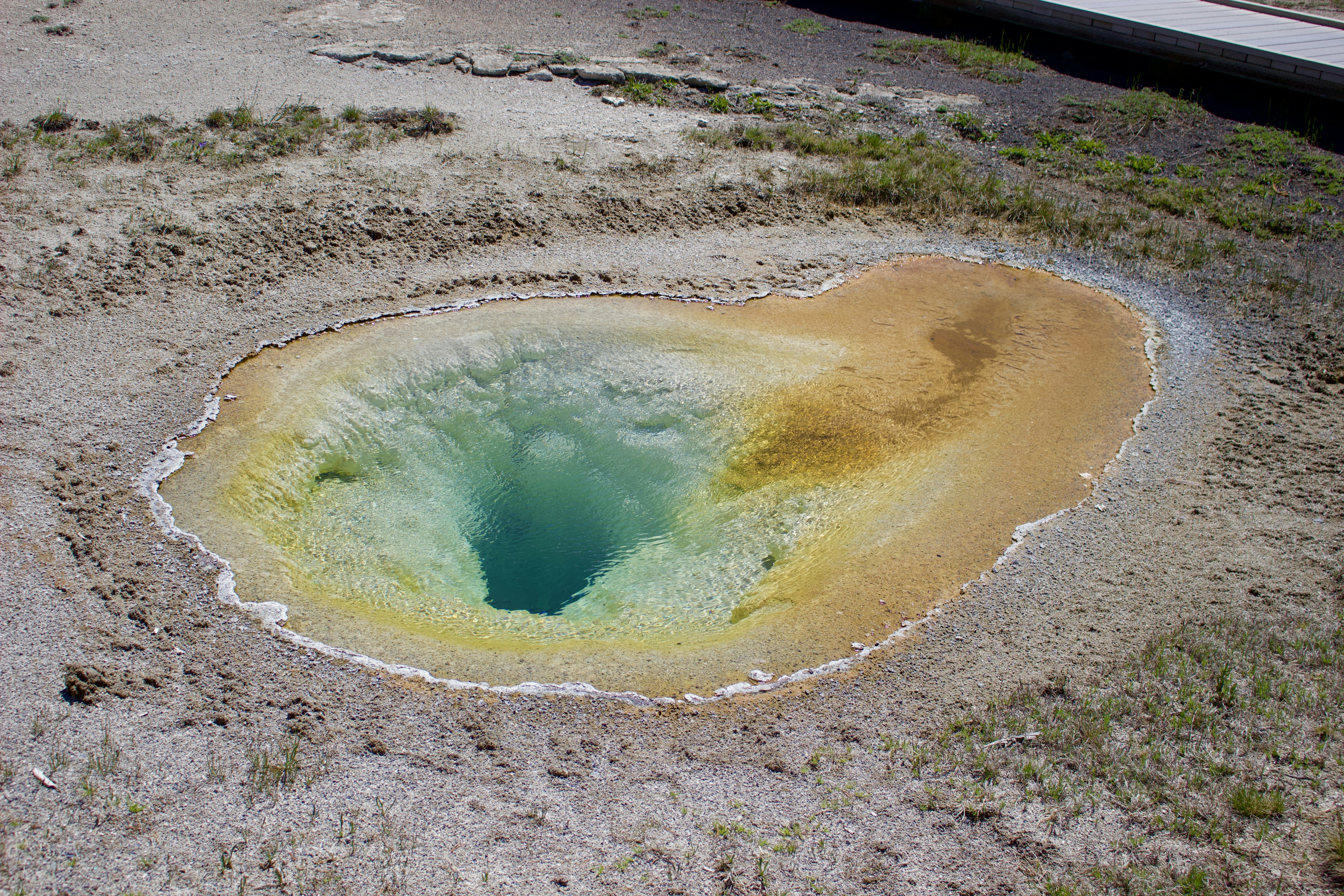 A heart shaped hole in the ground surrounded by grass photo – Free ...