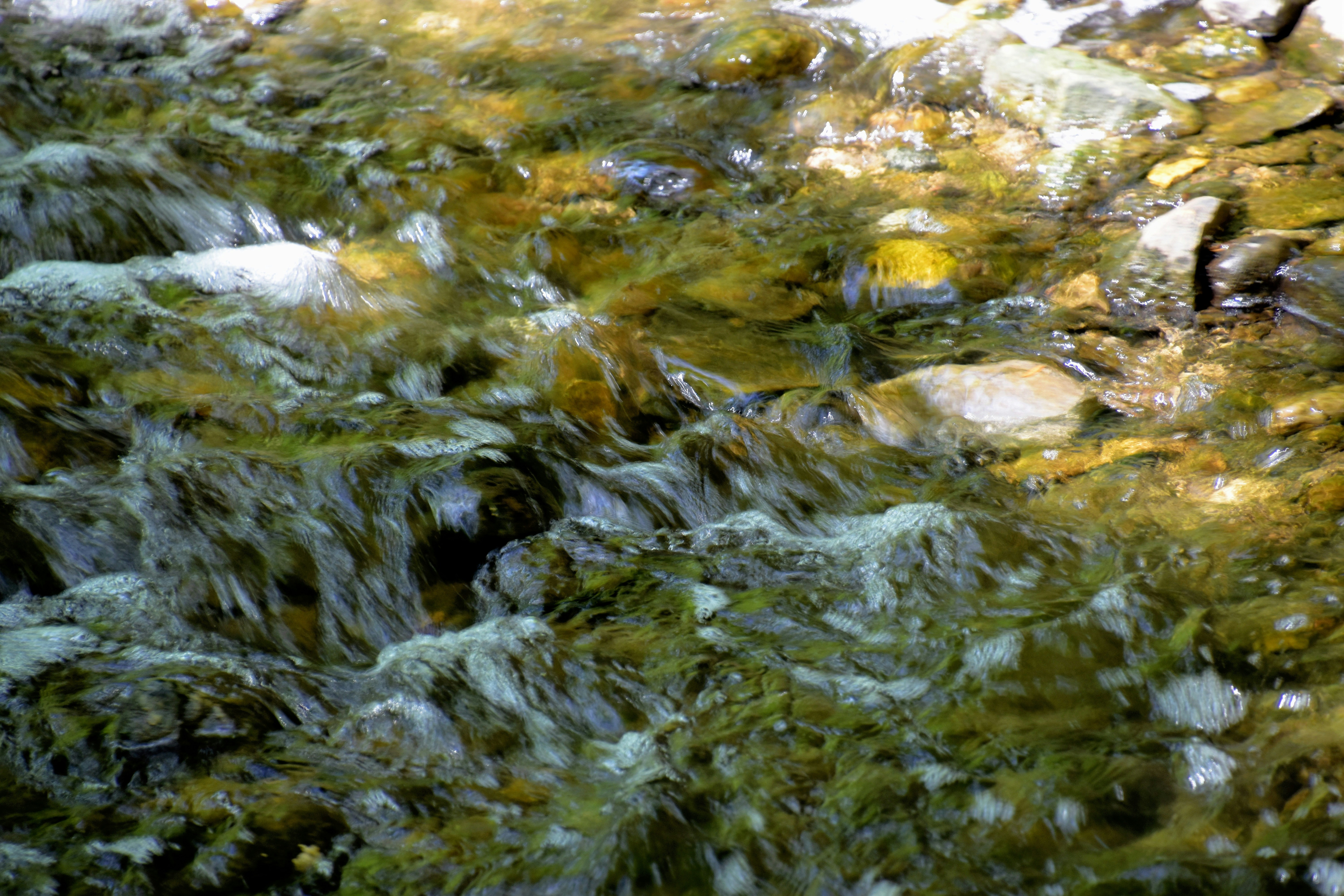 Clear water flowing over smooth stones in a sunlit stream, creating a serene natural ambiance.