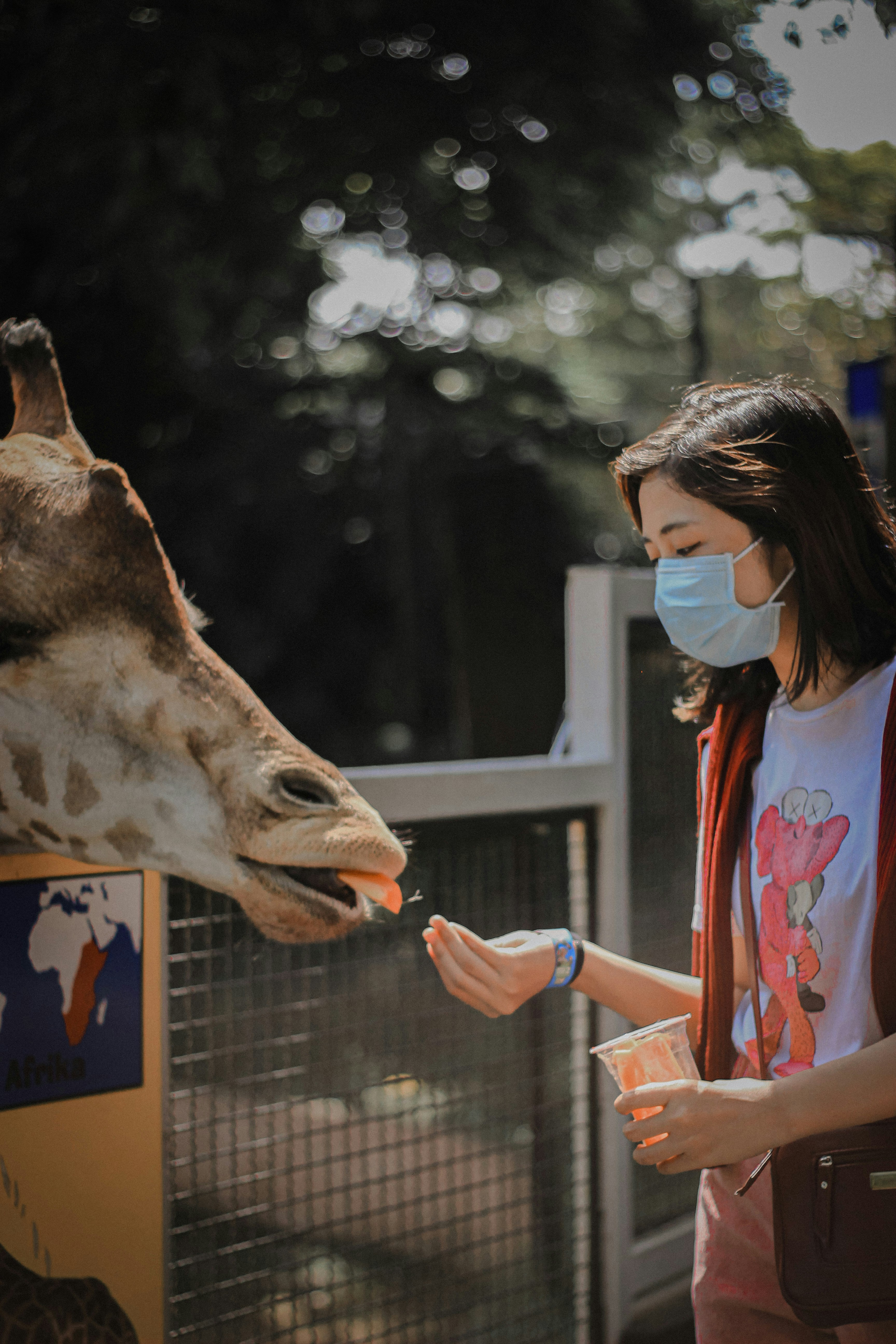 Giraffe's Gentle Reach: A Masked Moment at the Zoo