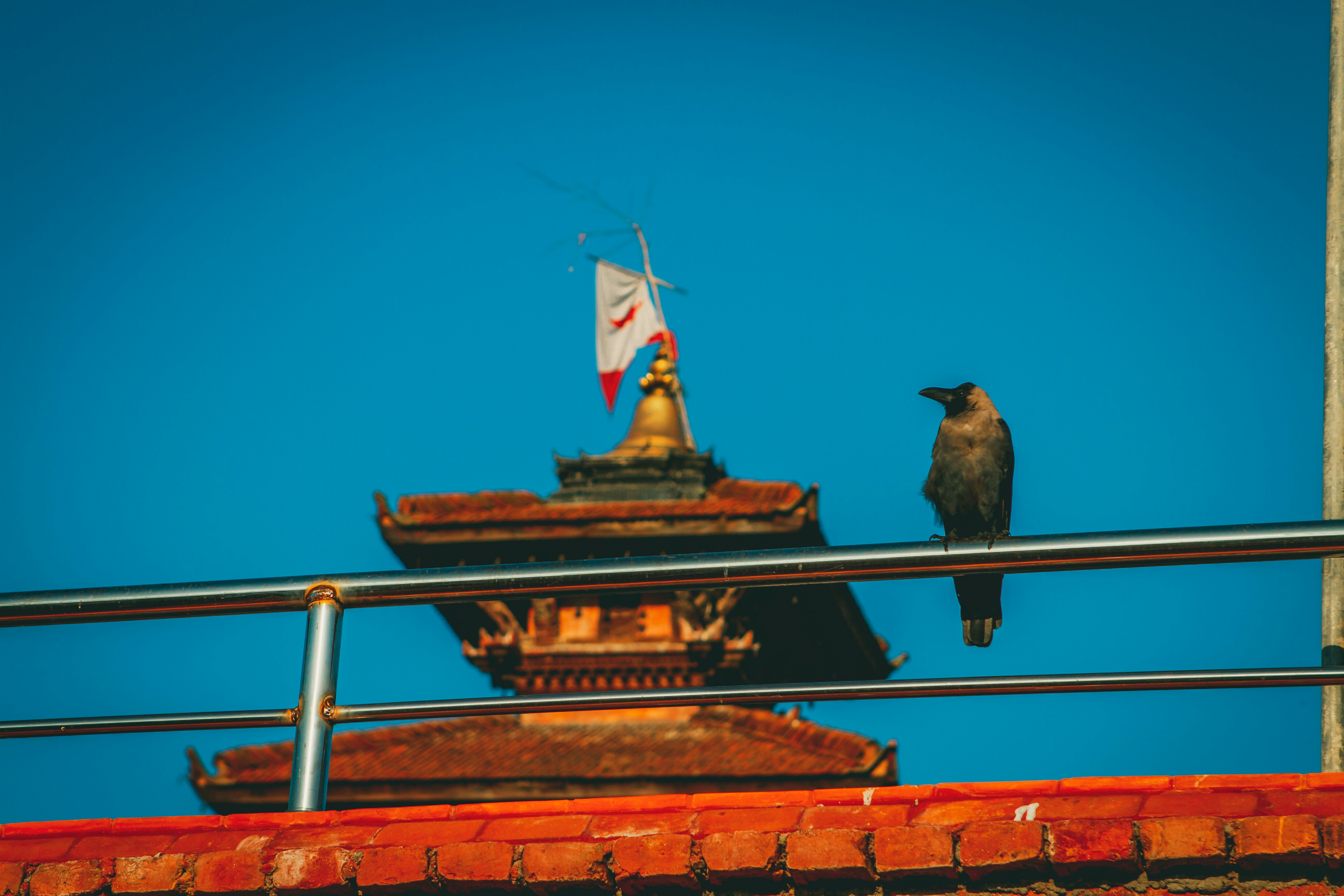 Crow on a Rooftop Rail Over a Burmese Pagoda