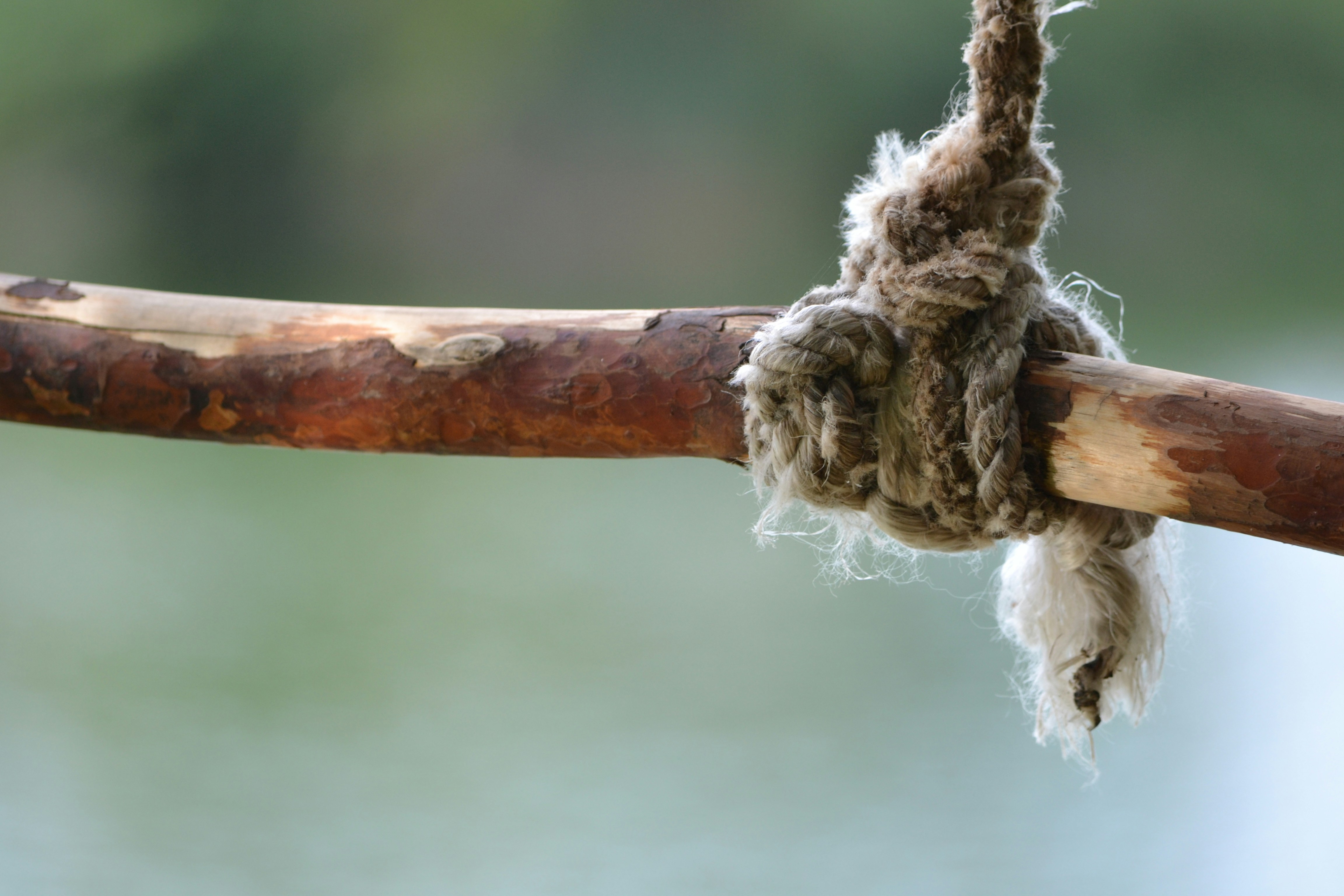 White rope on brown wooden stick photo – Free Rope Image on Unsplash